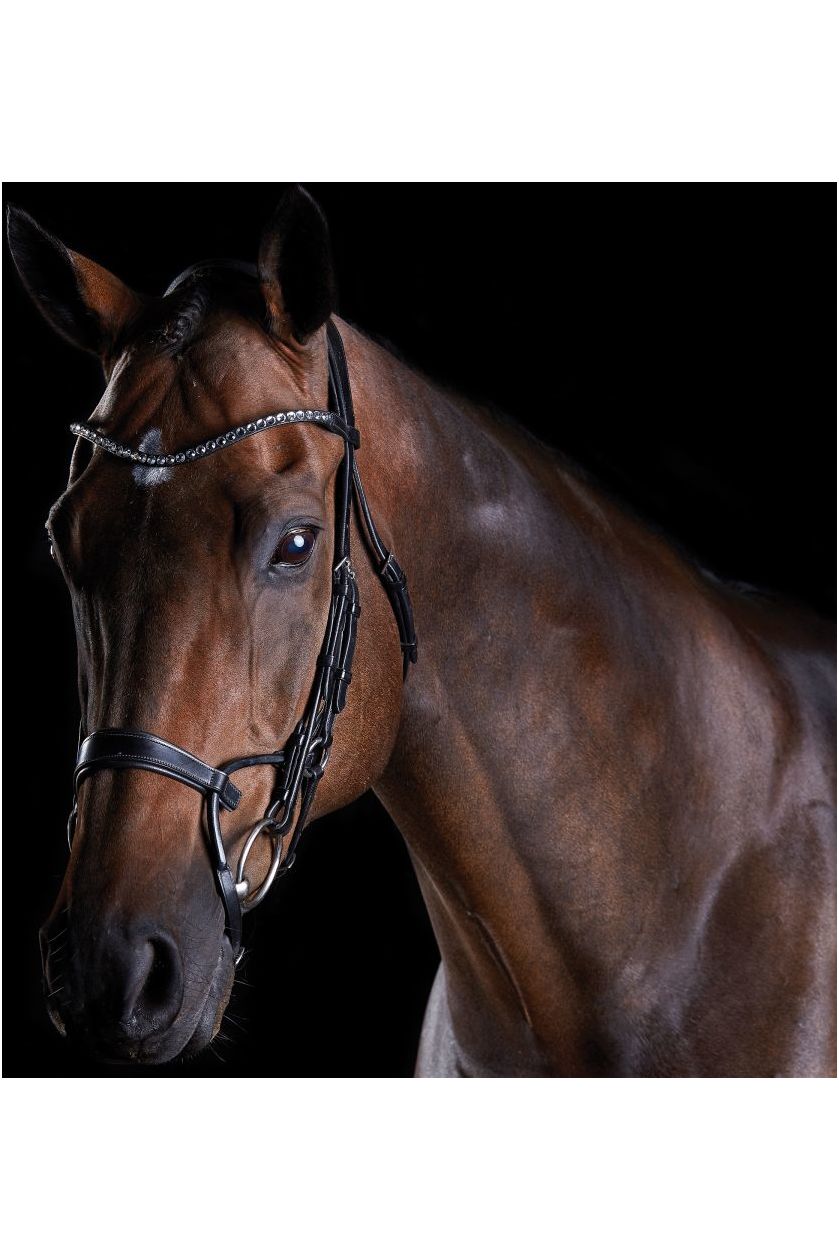Collegiate Comfitec Crystal Bridle 80770 - Black - Horse - Saddlery ...