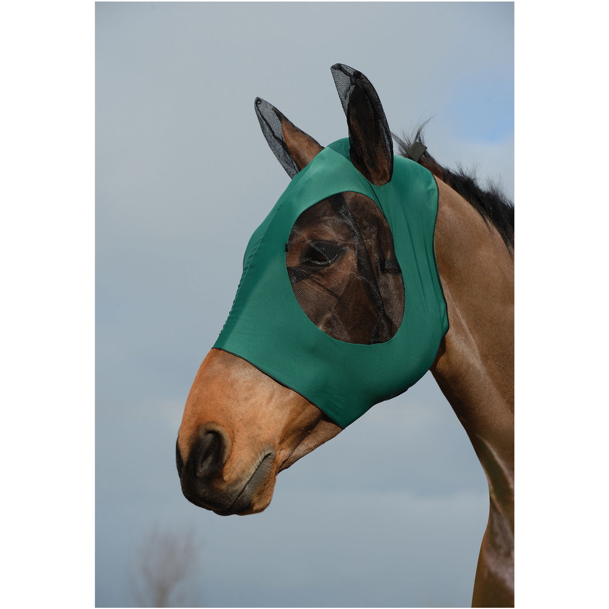 Weatherbeeta Stretch Bug Eye Saver With Eyes 1009573048 - Hunter Green ...