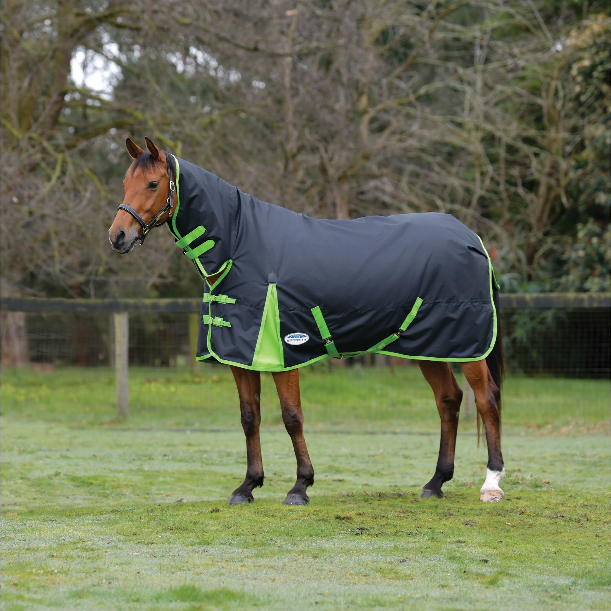 2023 Weatherbeeta Comfitec Classic Combo Neck Medium Turnout Rug ...
