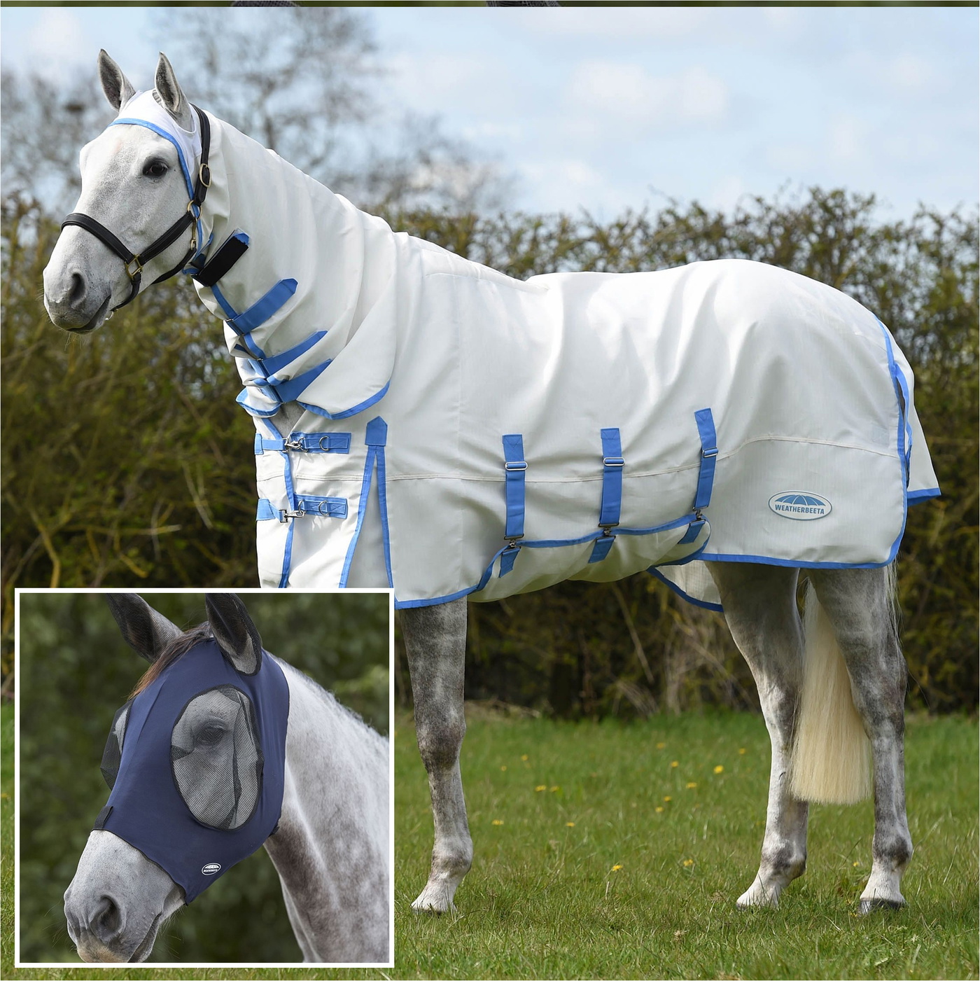 Weatherbeeta Sweet Itch Shield Fly Rug with FREE Fly Mask WFRFM3 ...