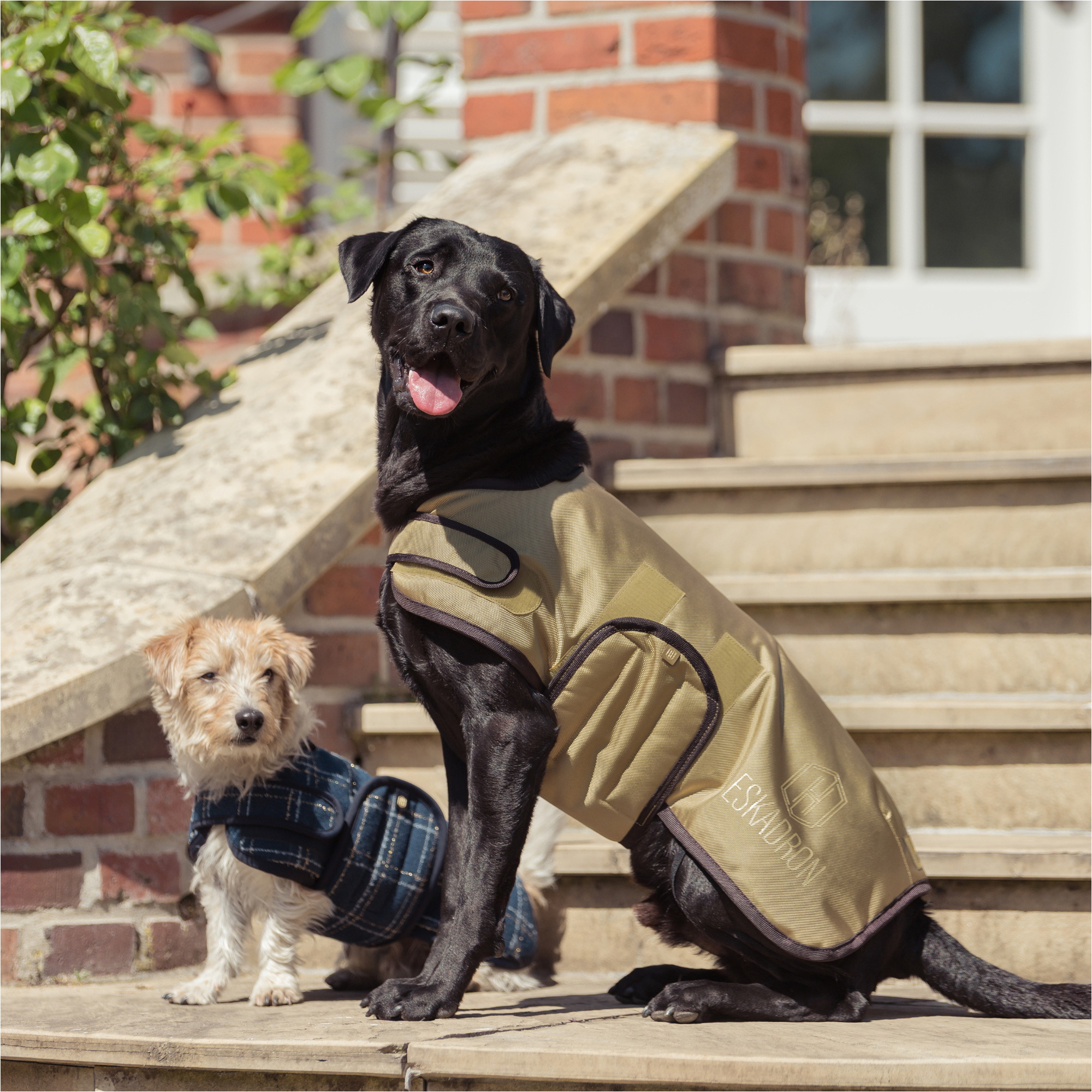 2025 Eskadron Heritage 1680D Dog Coat 180558 322 160 - Cardamom ...
