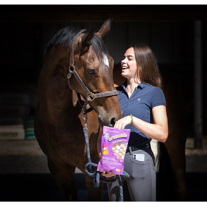 Equilibrium Crunchits 750g - 37011 - Horse - Gifts & Treats - Treats ...