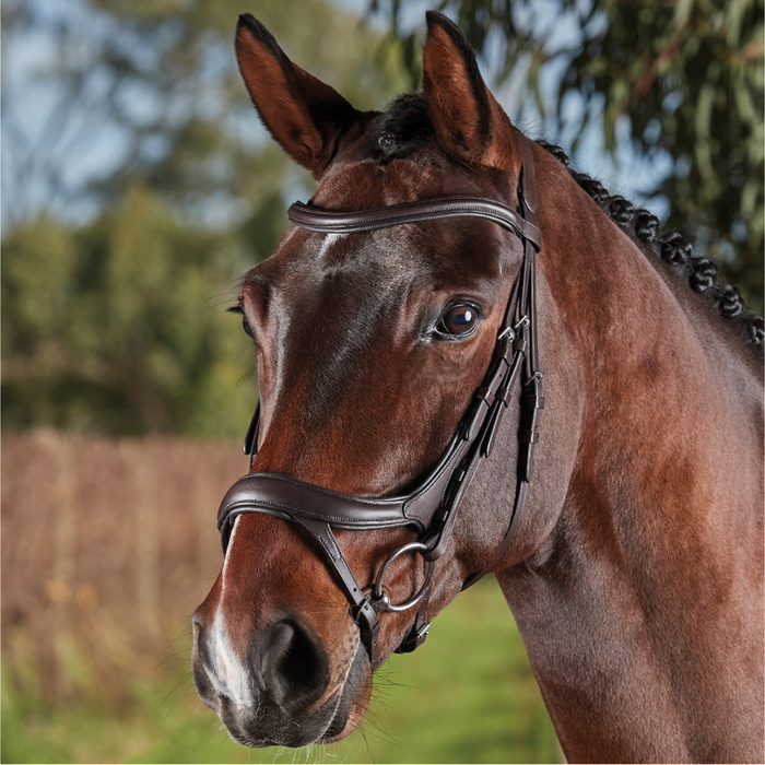 Collegiate Comfitec Vogue Anatomical Bridle 100637600 - Brown - Horse ...