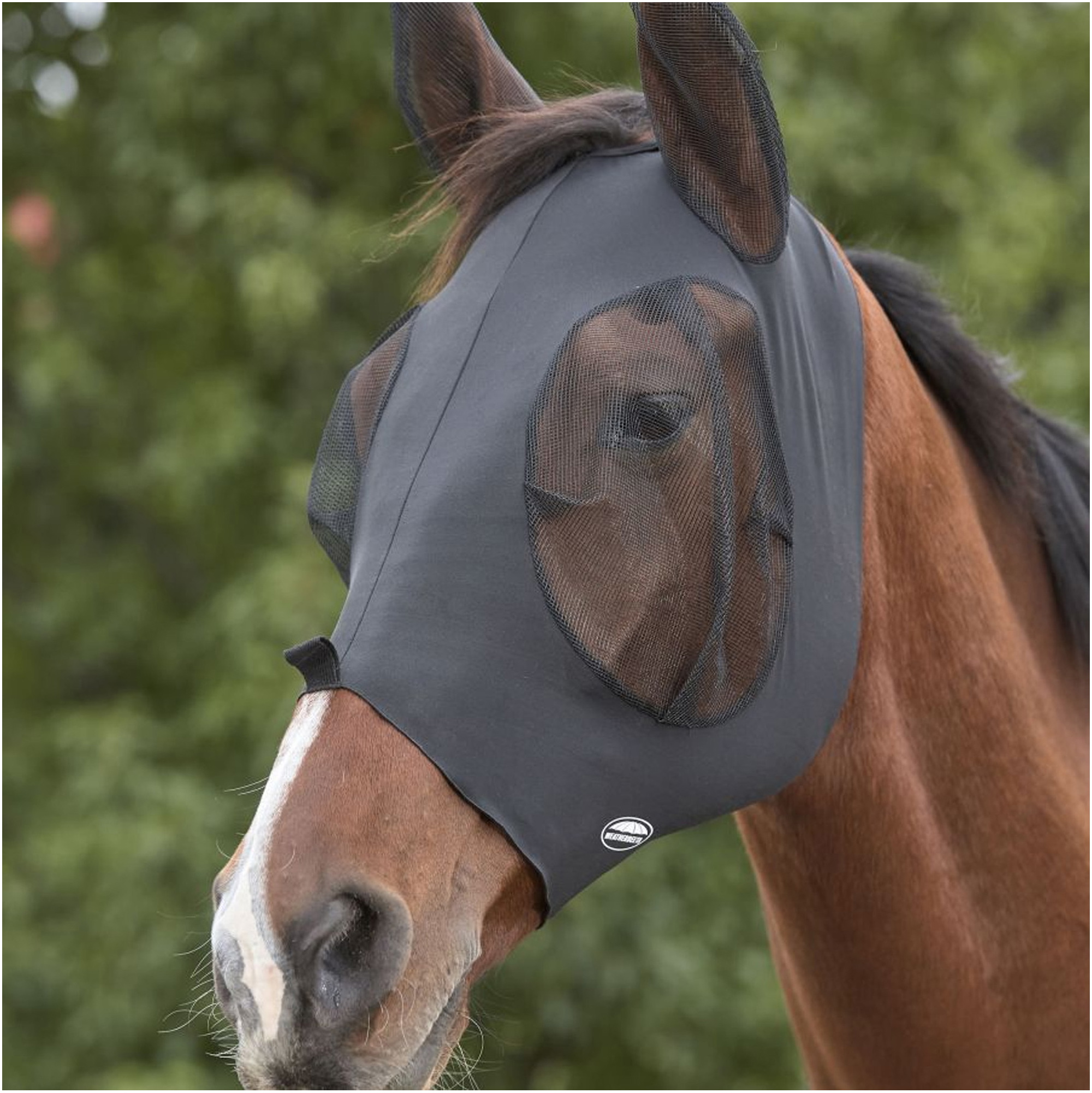 Weatherbeeta Deluxe Stretch Bug Eye Saver With Ears 1009573005 - Black ...