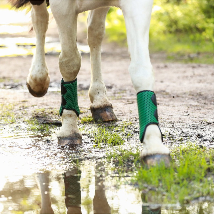 Equilibrium Tri-Zone All Sports Boots EQB0611- Hunter Green - Horse ...