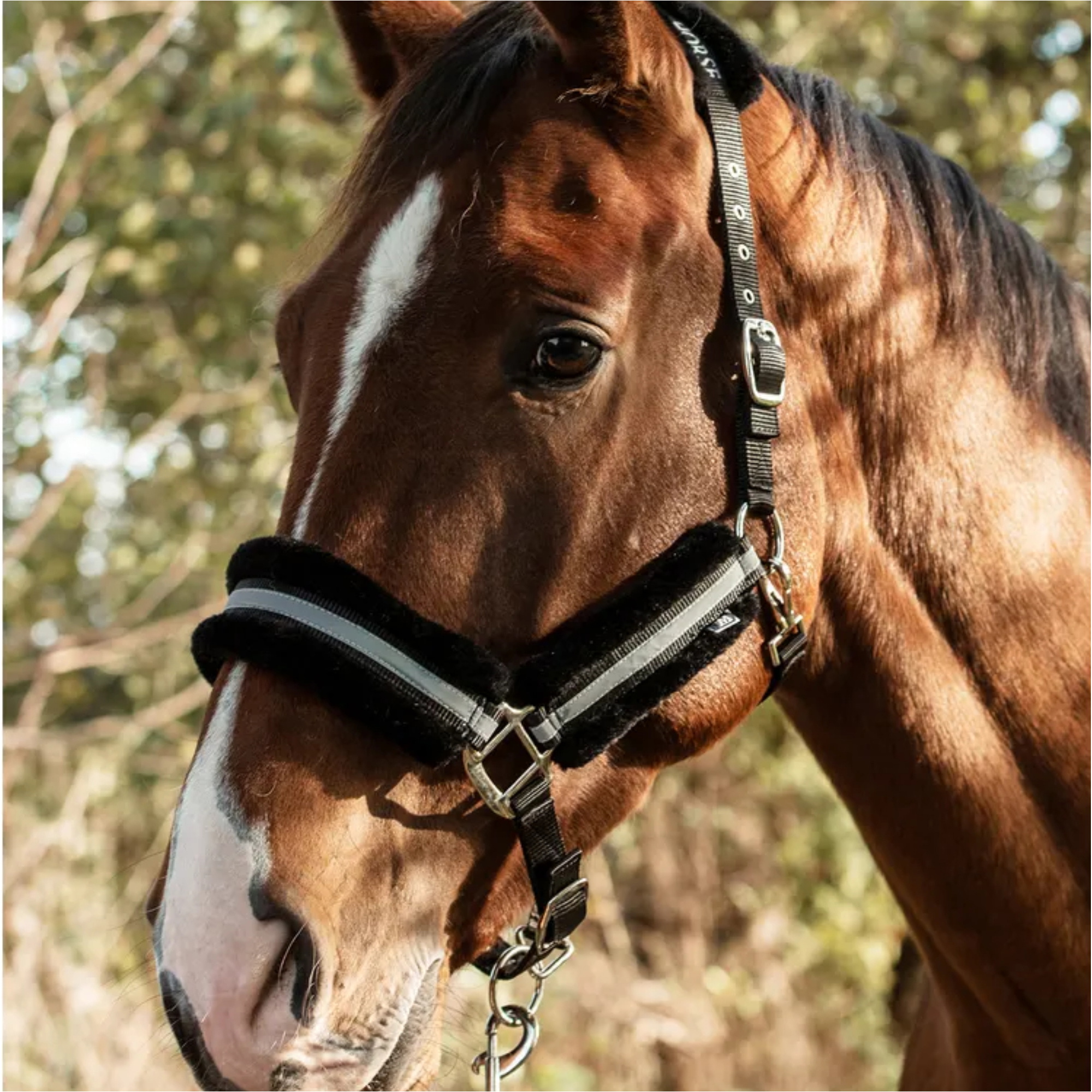 2025 Mountain Horse Halter 10124010051 - Black - Horse - Saddlery ...
