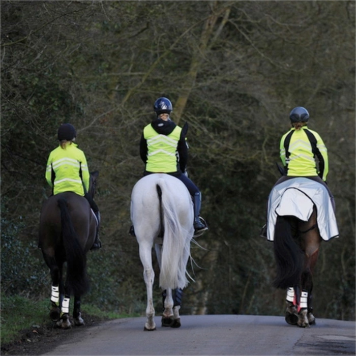 2025 WeatherBeeta Reflective Wrap Around Exercise Sheet 1004324 ...