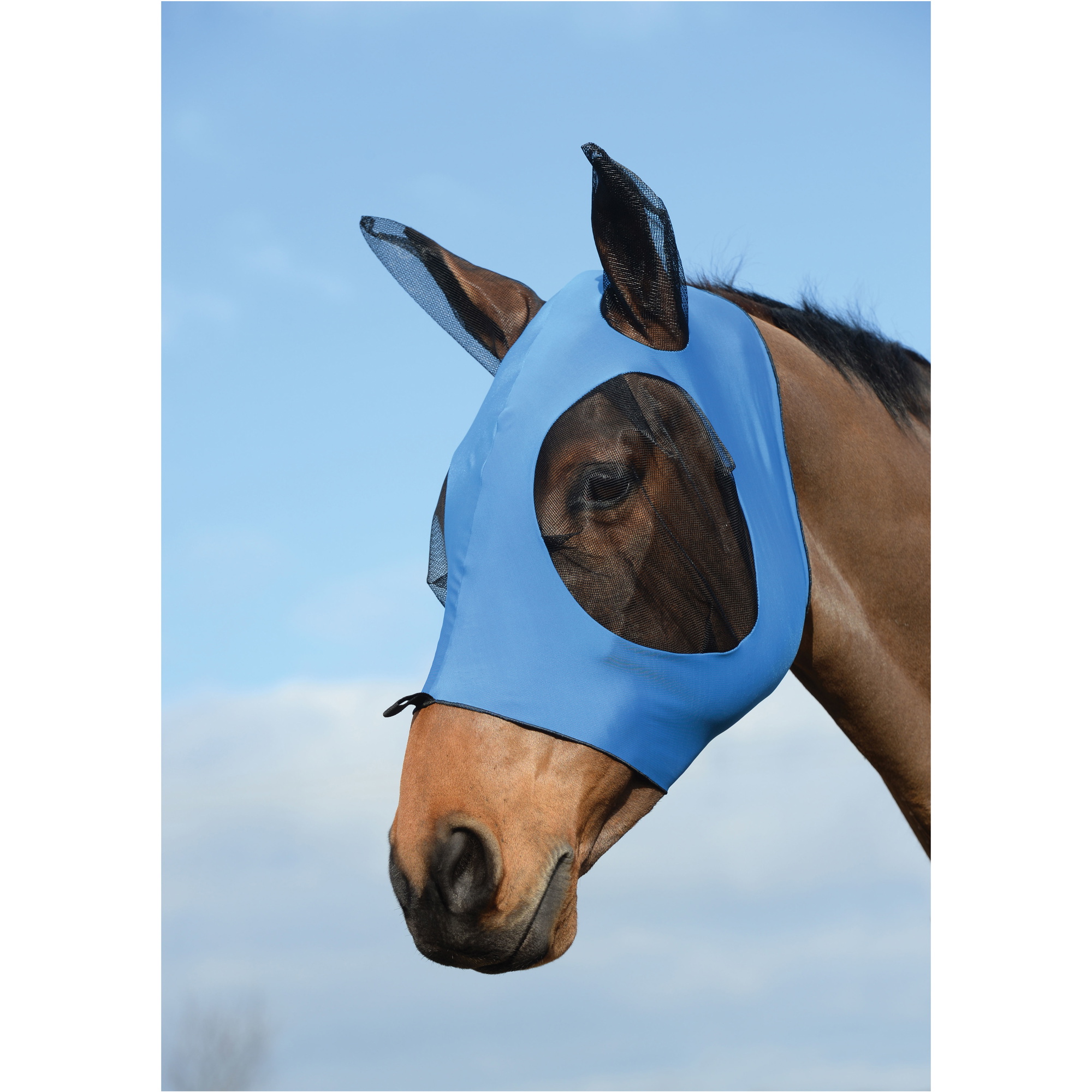 Weatherbeeta Stretch Bug Eye Saver With Eyes - Blue / Black ...