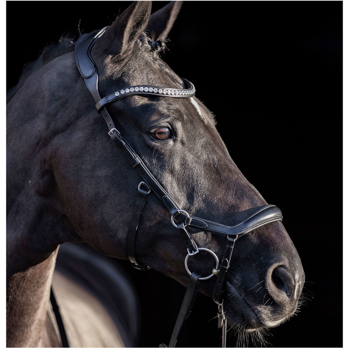 2023 HV Polo Vermächtnis Anatomisch Deluxe Zaum 1201093502 - Black ...