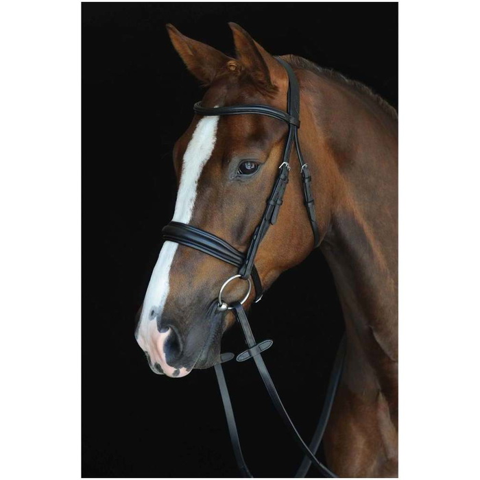 Collegiate Mono Crown Padded Raised Cavesson Bridle 80088 - Black ...