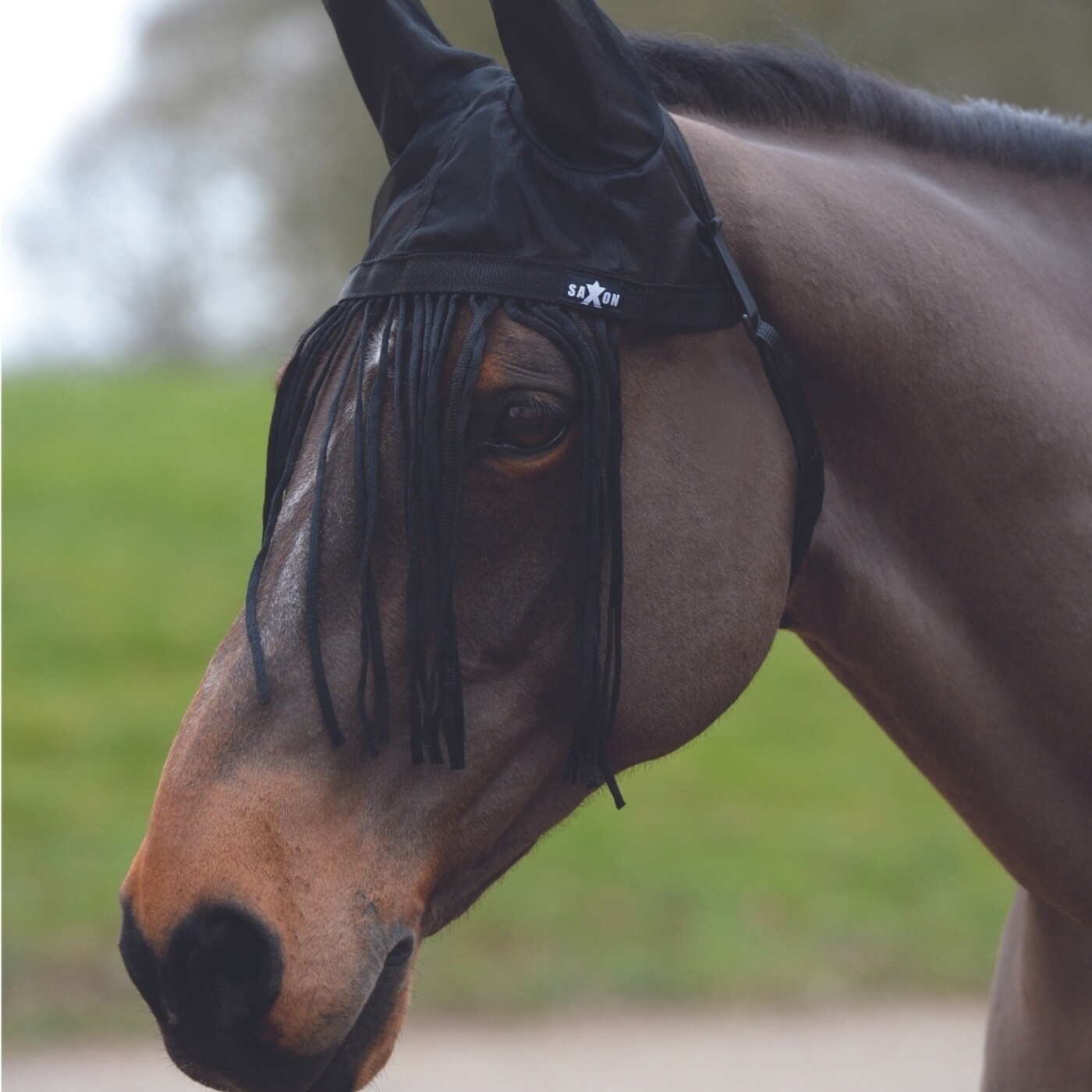 2024 Saxon Fly Fringe With Ears 100292 - Black - Horse - Fly Rugs ...