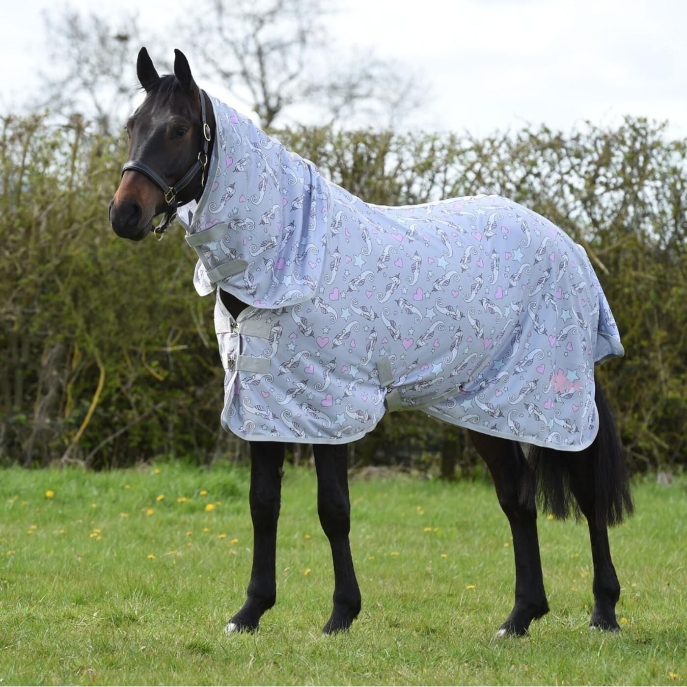 2024 Saxon Mesh Combo Neck Fly Rug 10029420 - Sea Unicorn Print - Horse ...