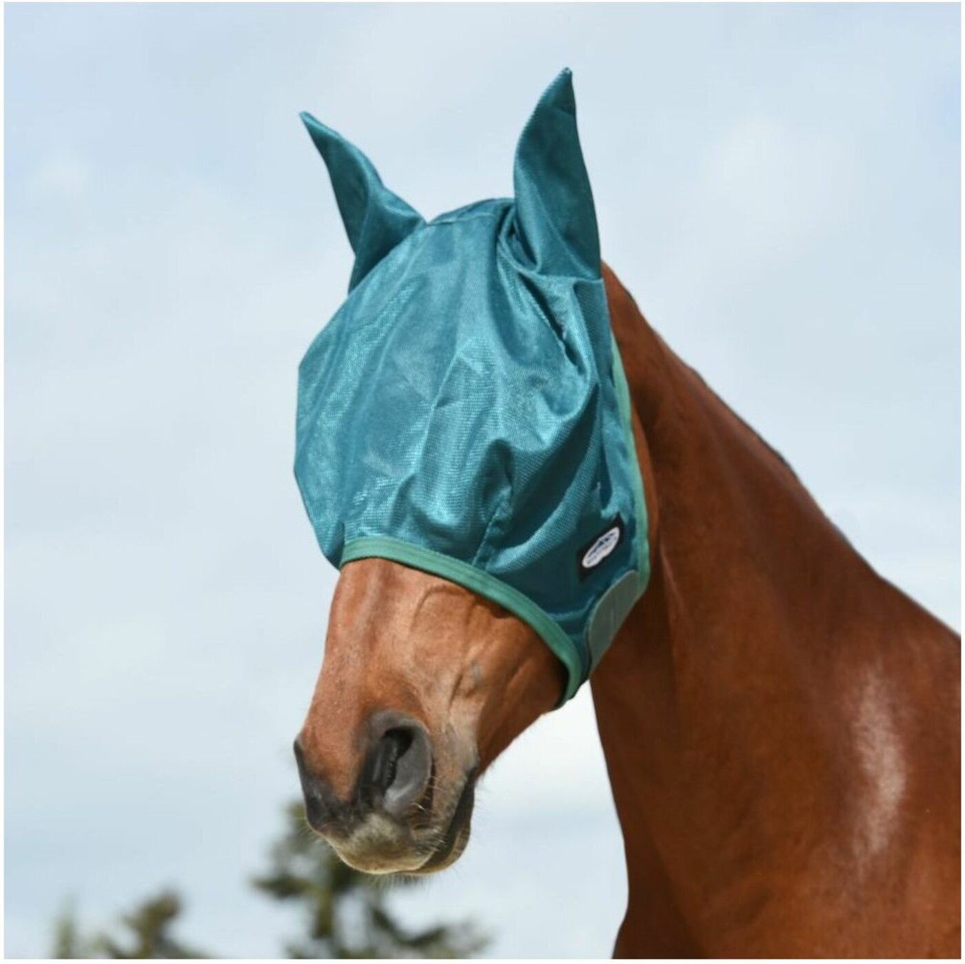 Weatherbeeta Green-Tec Airflow Mesh Fly Mask 1024928 - Dragonfly Blue ...