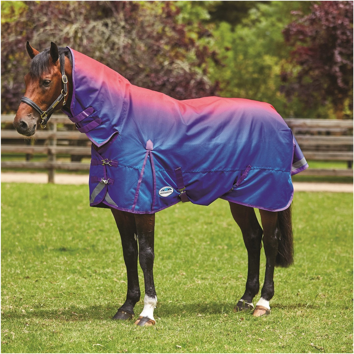 WeatherBeeta ComFiTec Plus Dynamic Lite Combo Neck Rug - Purple Print ...