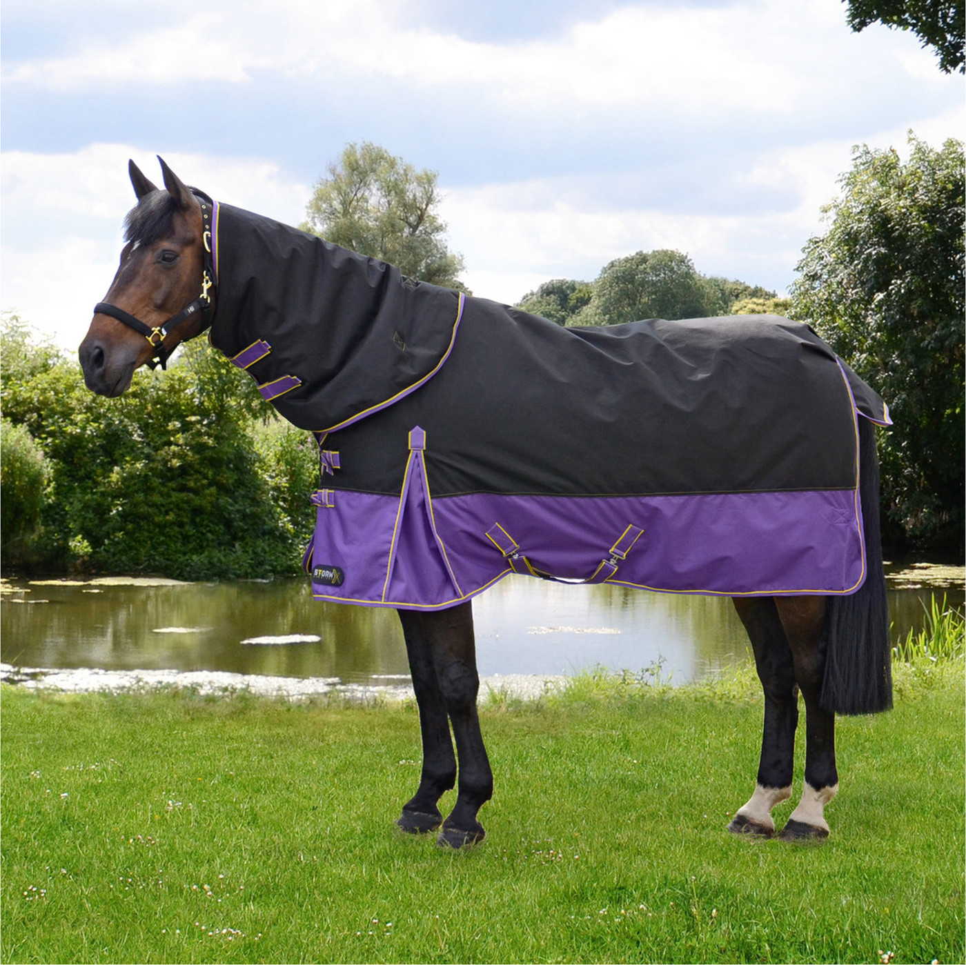 Hy Equestrian Stormx Original 200g Detach-A-Neck Turnout Rug - Black ...