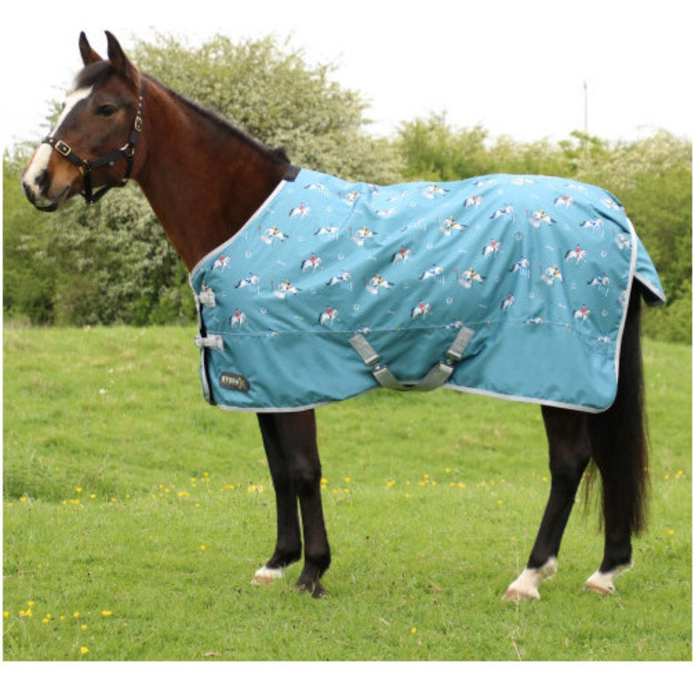 Hy Equestrian StormX Original Standard Neck Rug - Steel Blue / Grey ...