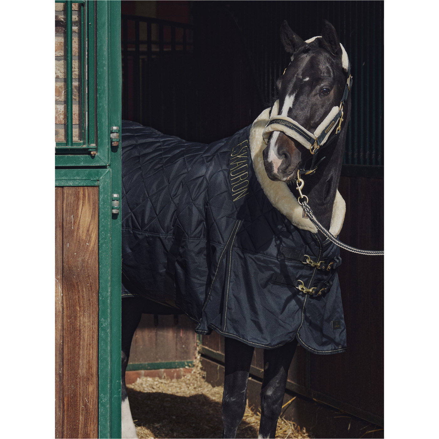 Eskadron 150g Standard Neck Stable Rug - Antique Green - 145655 - Horse ...