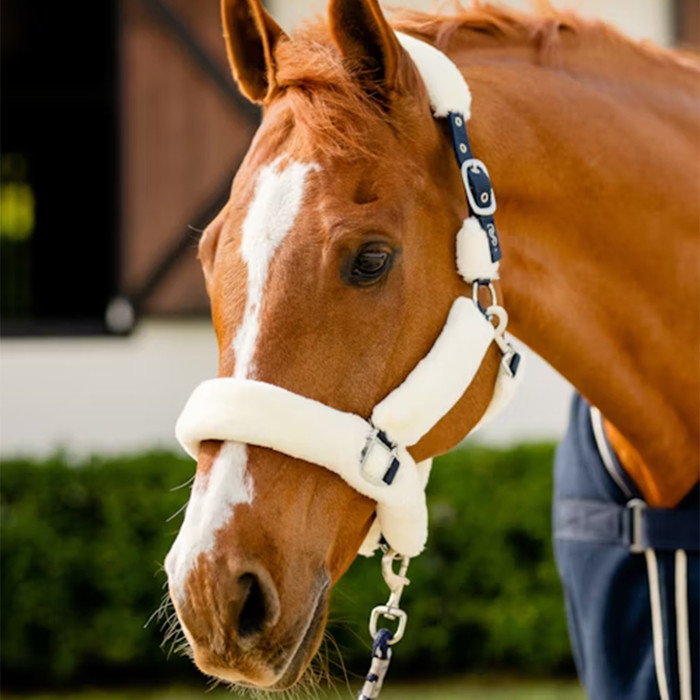 2023 PS of Sweden Fluffy Halter 1310-001 - White / Navy - Horse ...