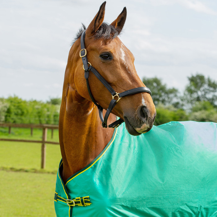 2023 Hy Equestrian StormX Original 0g Turnout Rug 2782 - Green / Dark ...