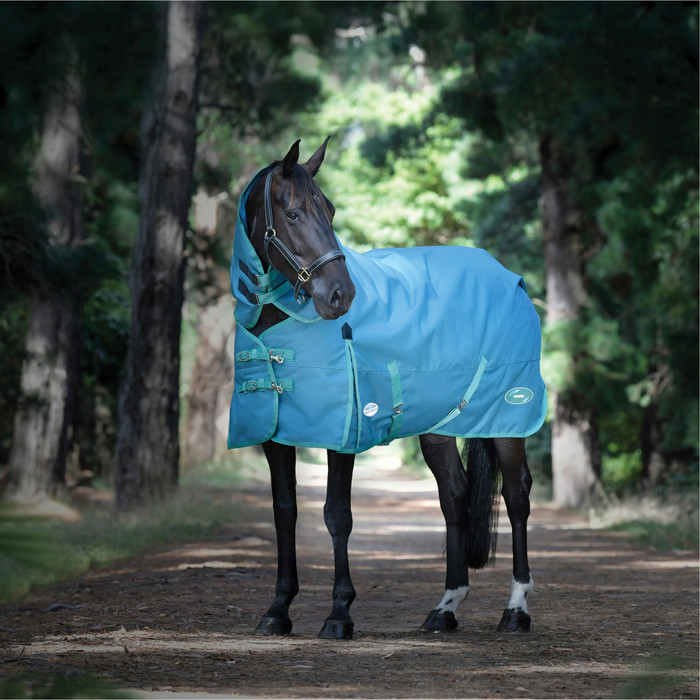 2023 Weatherbeeta Green-Tec 1200D Detach-A-Neck Lite Plus Turnout Rug ...