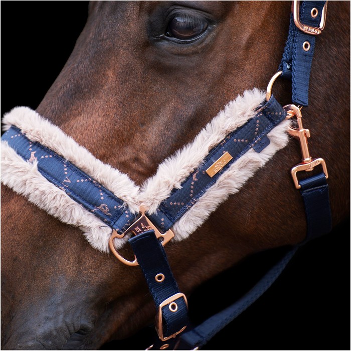 2023 HV Polo Welmoed Shine Headcollar 1601093452 - Navy - Horse - Saddlery | The Drillshed
