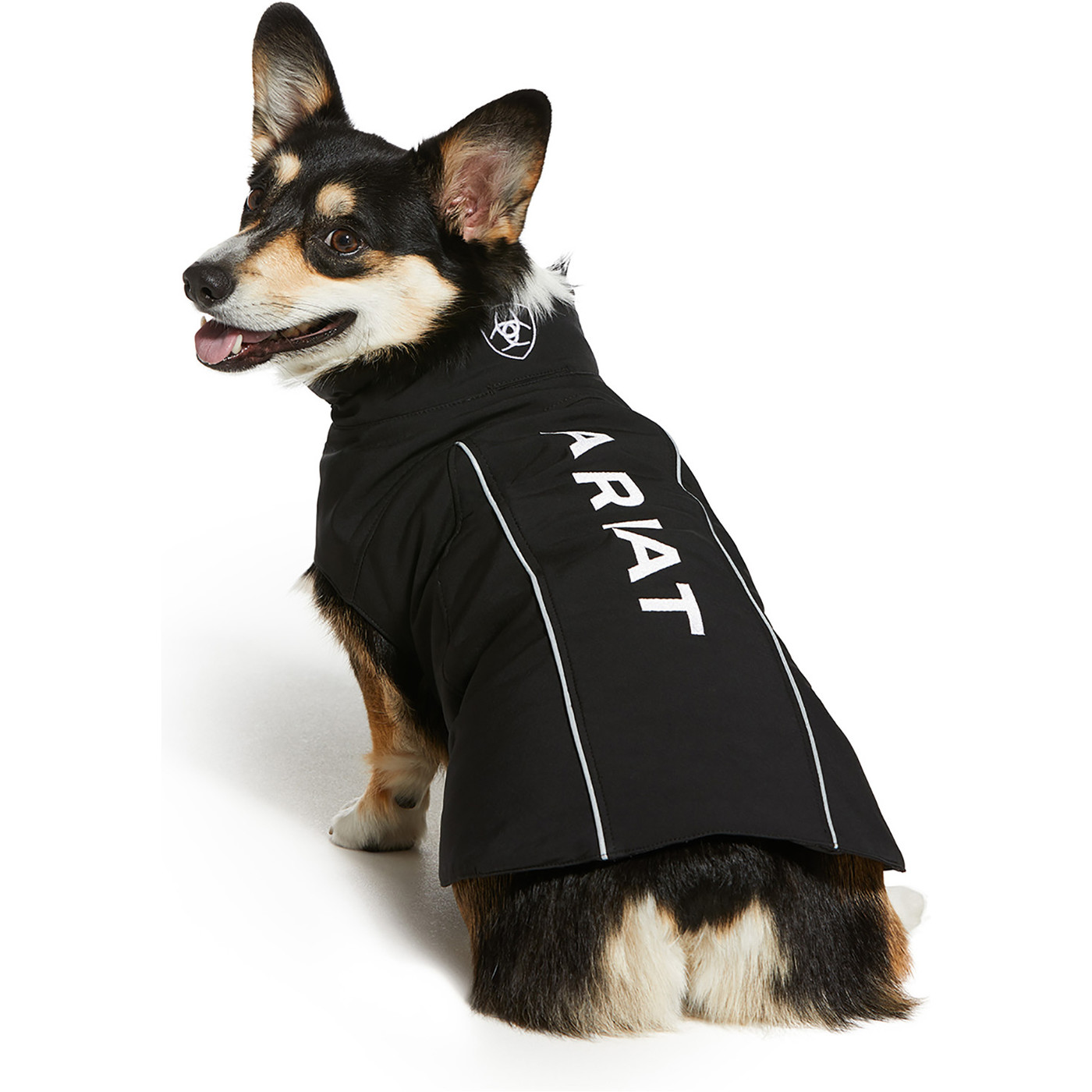 Ariat Team Dog Softshell Jacket - Black - 10033013 - Dogs | The Drillshed