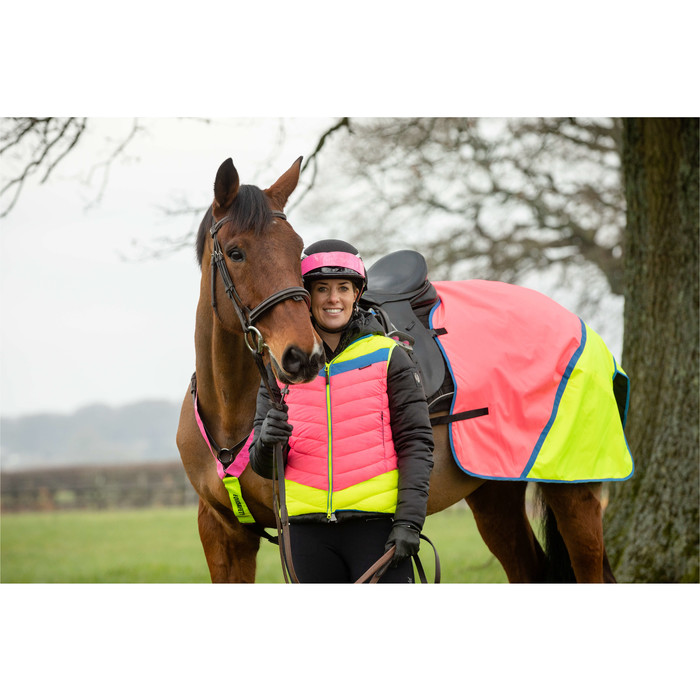 2022 Equisafety Charlotte Dujardin Hi Vis Multi Coloured Horse Sheet CD ...