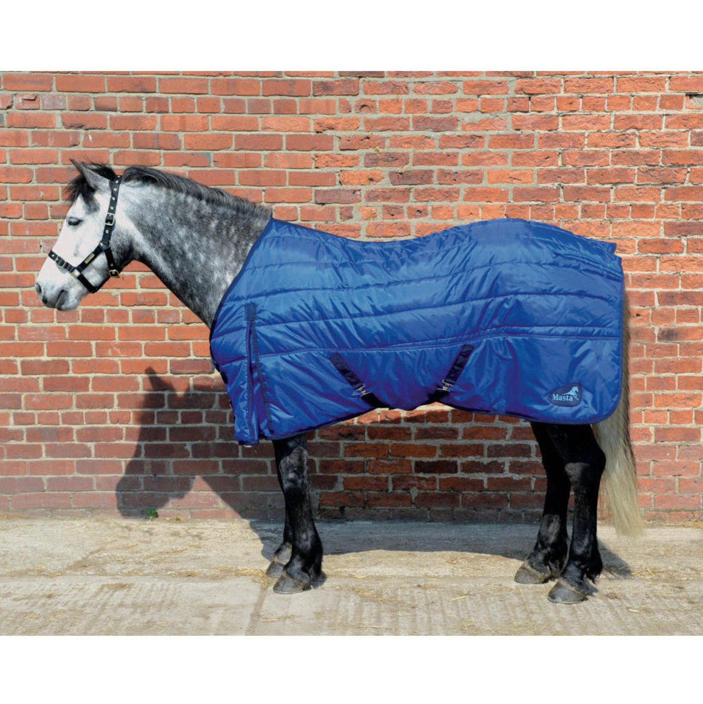 Masta Tex Basic Stable Rug 100G Standard Neck - Blue | The Drillshed