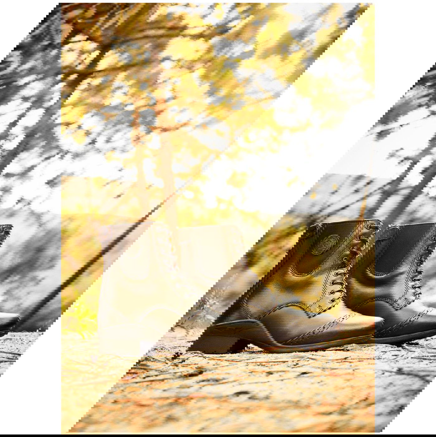 Mountain Horse Womens Aurora Lace Paddock Boots Black - 1074 - Womens ...