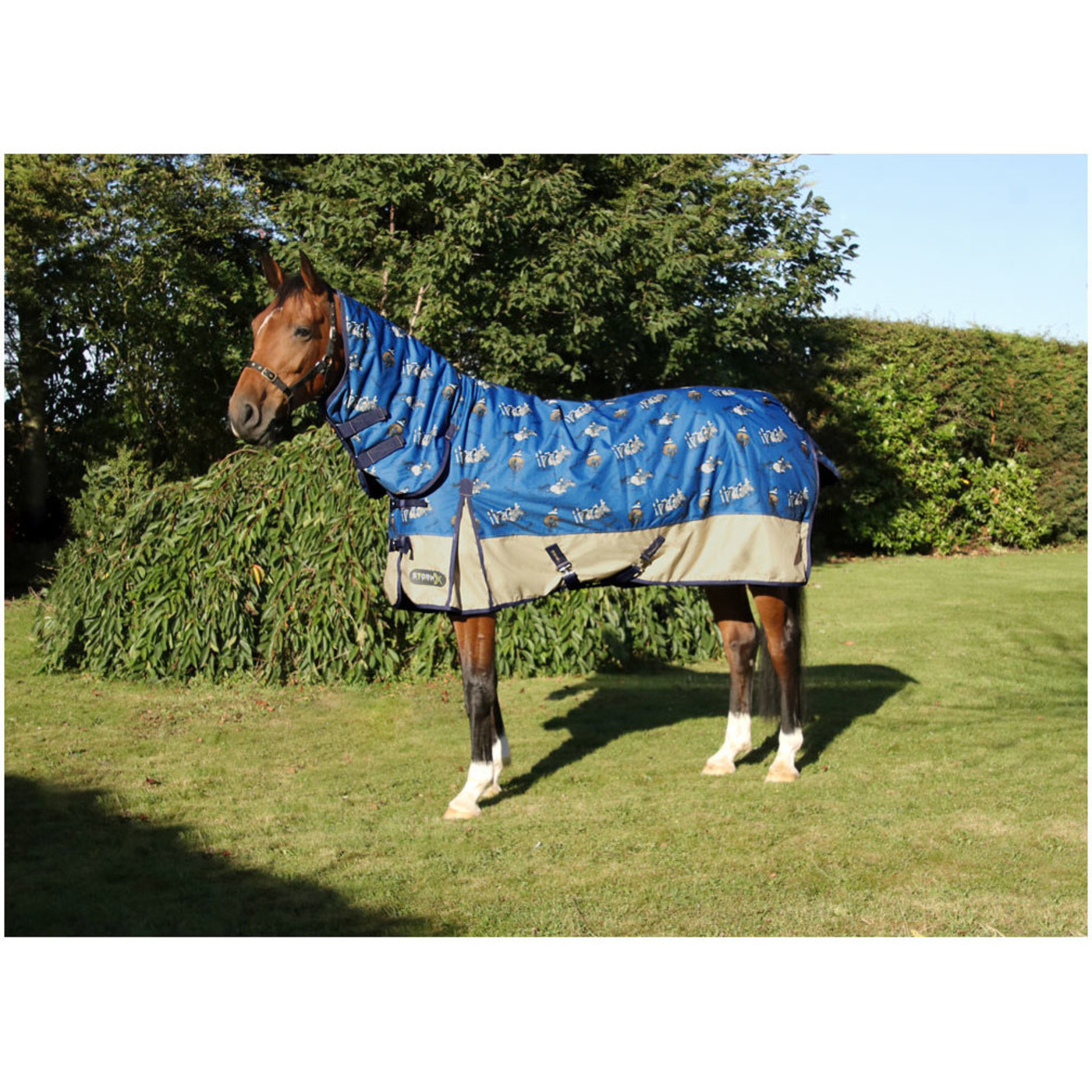2022 Hy Equestrian StormX 200 Combi Turnout Rug Thelwell Jumps - Blue ...