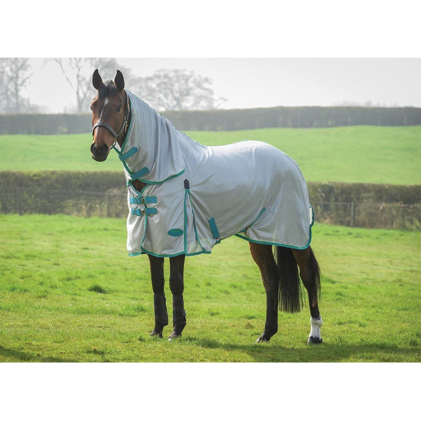 Weatherbeeta Comfitec Essential Mesh Combo Neck Fly Rug Grey / Blue ...