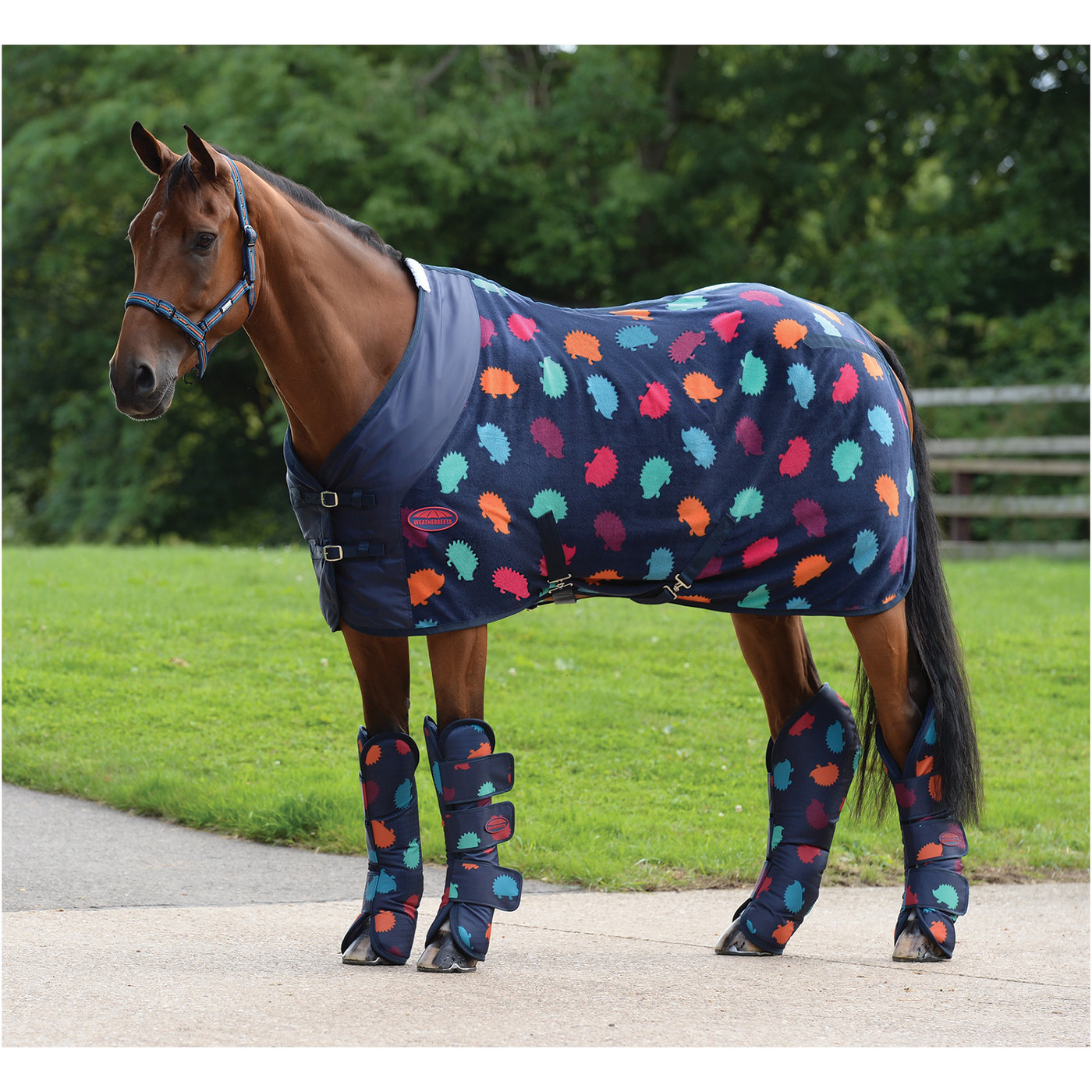 Weatherbeeta Wide Tab Long Travel Boots | Horse Boots | The Drill Shed ...