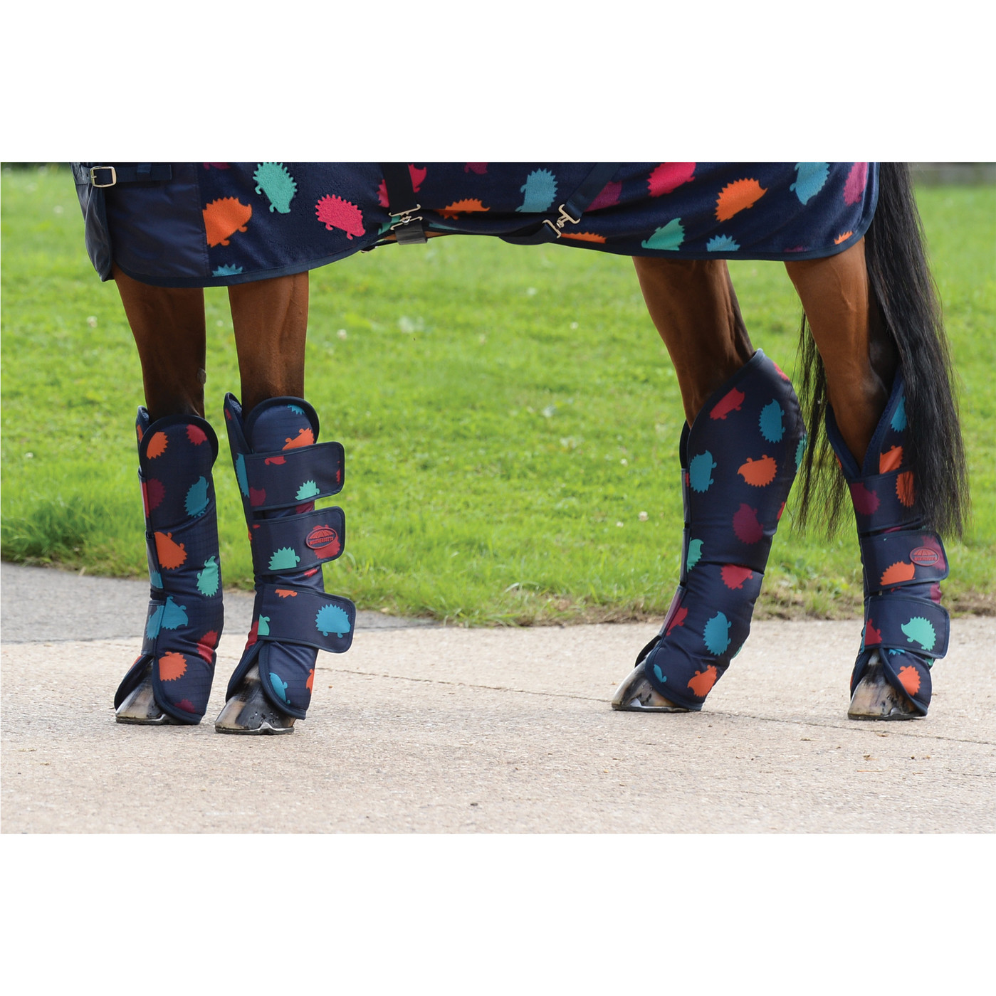Weatherbeeta Wide Tab Long Travel Boots | Horse Boots | The Drill Shed ...