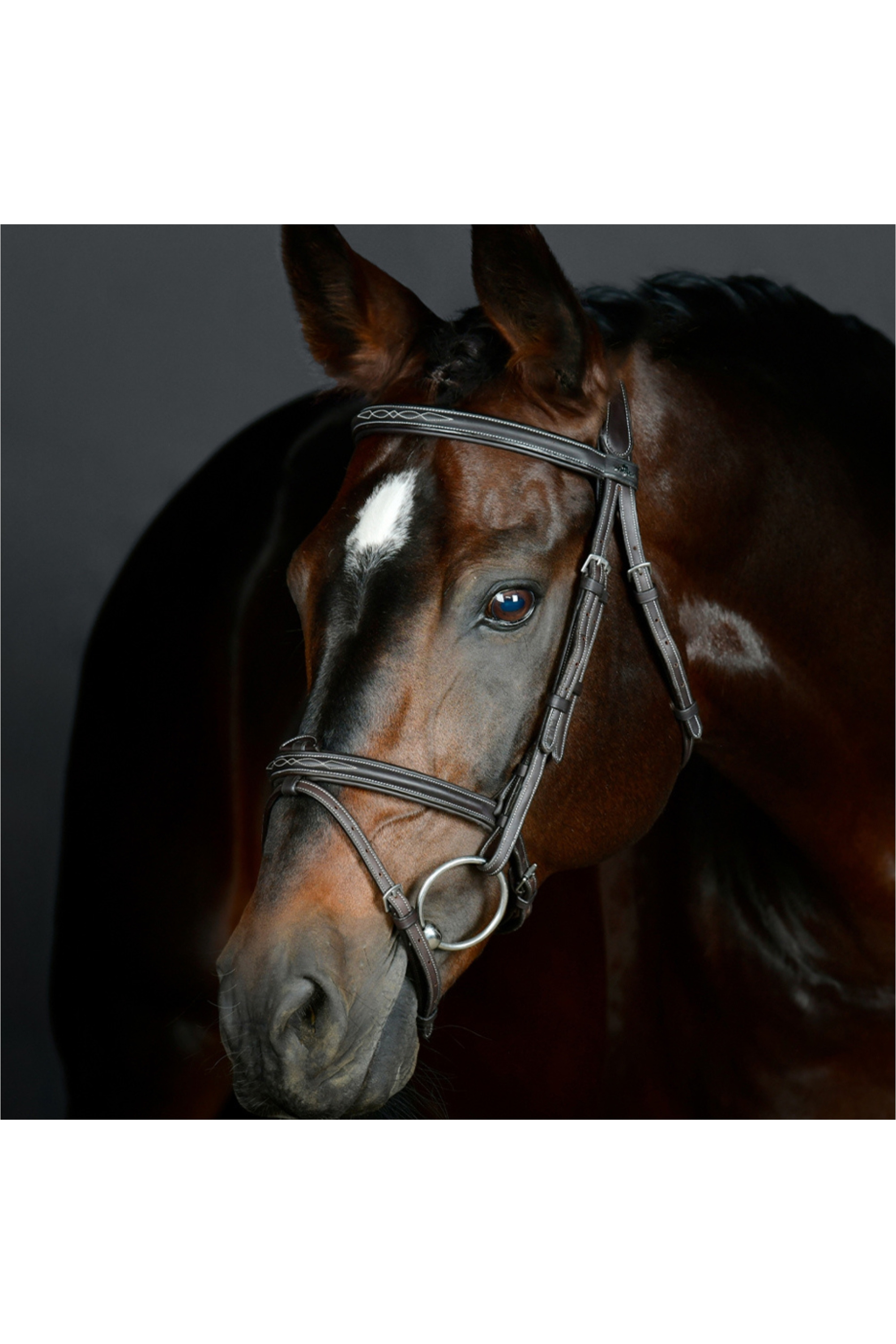 Collegiate Comfitec Opulux Fancy Stitch Padded Hanoverian Bridle ...