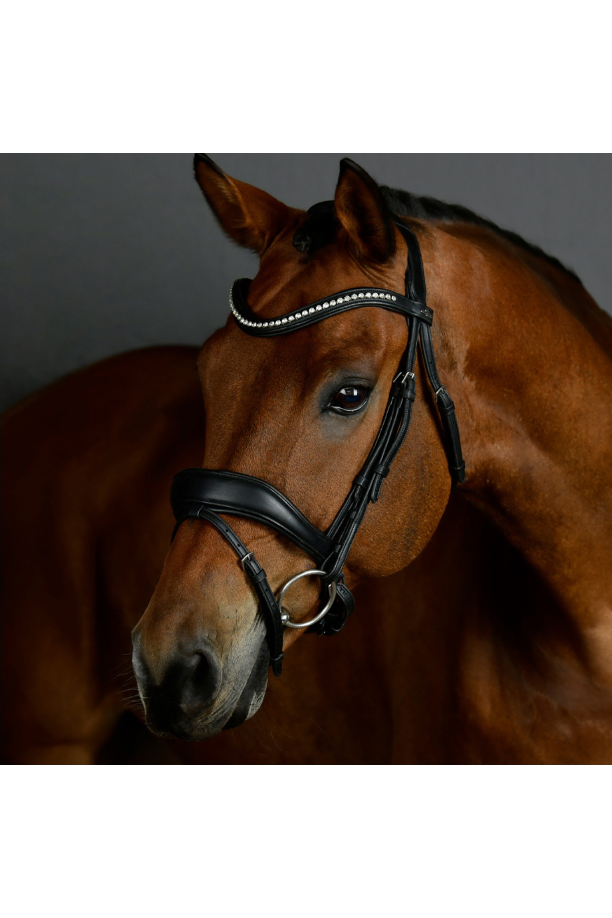 Collegiate Comfitec Opulux Padded Dressage Bridle 102519200 - Black ...