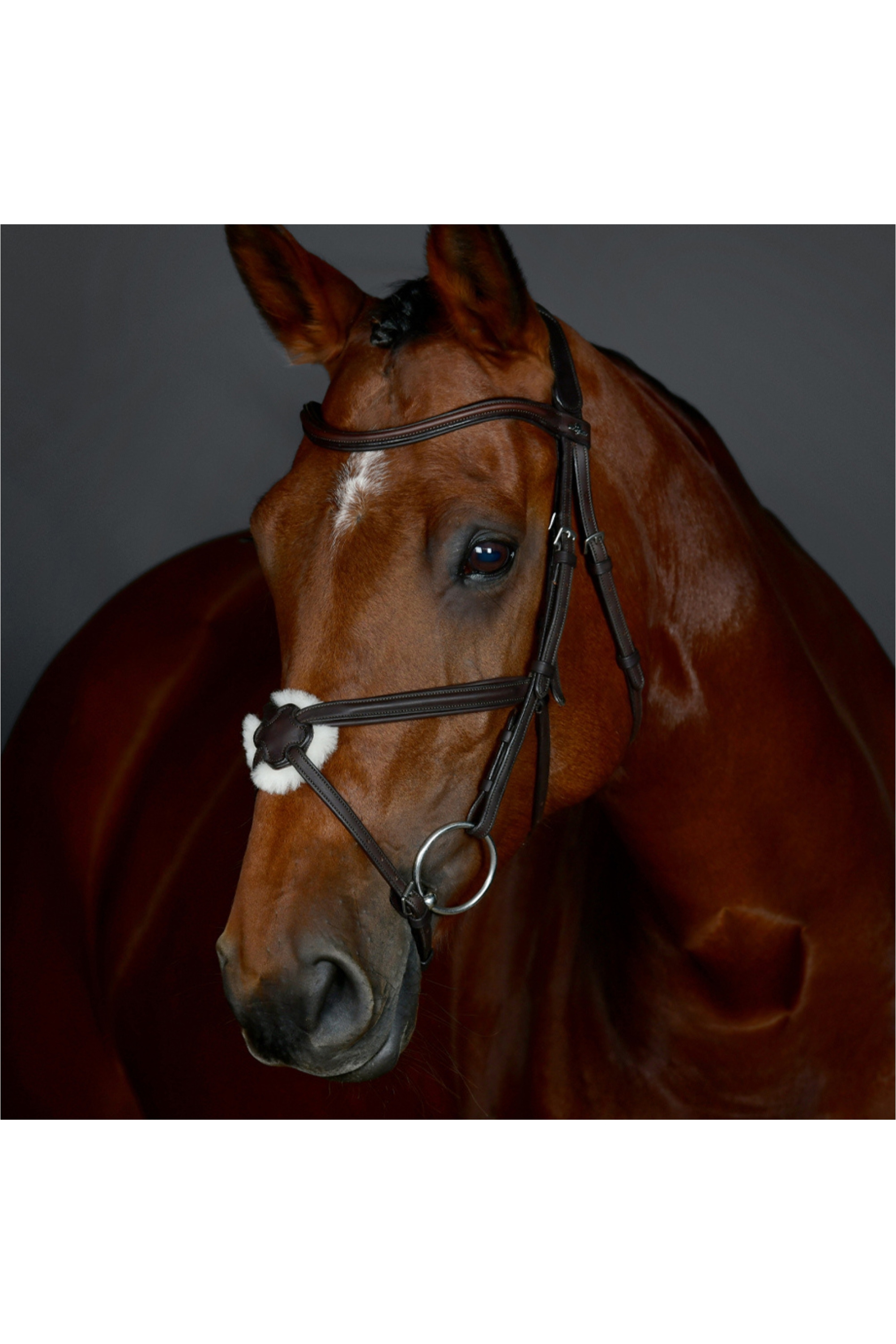 Collegiate Comfitec Opulux Plain Padded Grackle Bridle 102519500 - Dark ...