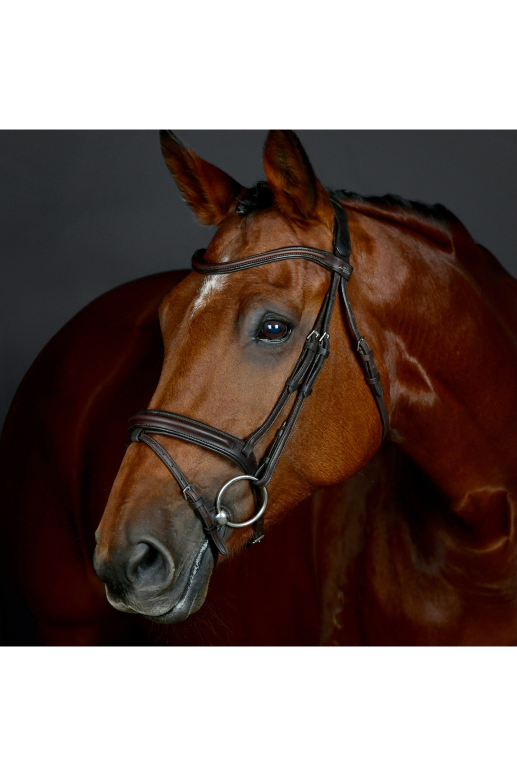 Collegiate Comfitec Opulux Plain Padded Hanoverian Flash Bridle ...