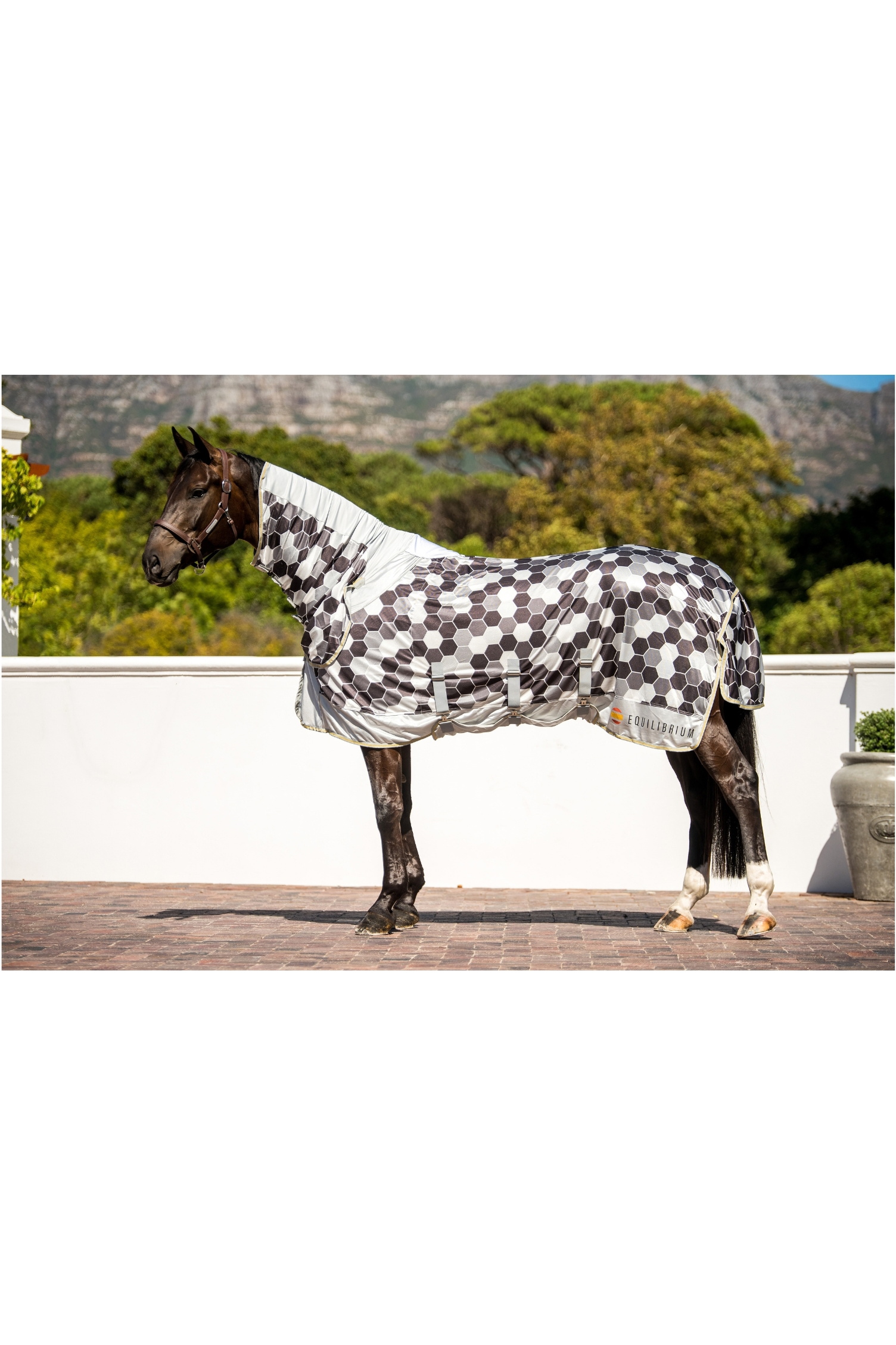 Equilibrium New Field Relief Fly Rug EQB1667 - Grey - Horse - Fly Rugs ...