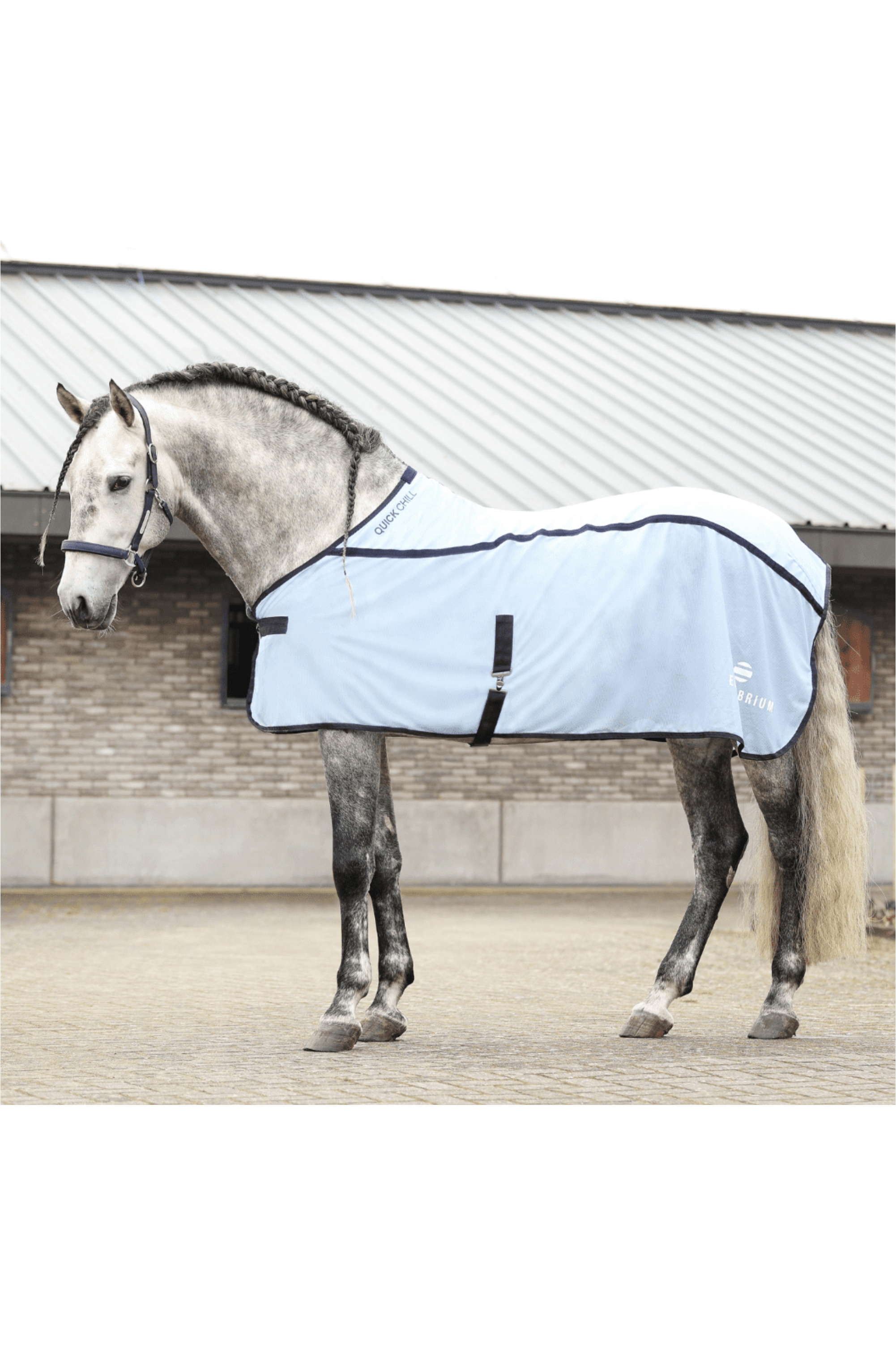 Equilibrium Quick Chill Rug EQB1685 - Light Grey - Horse - Horse Rugs ...