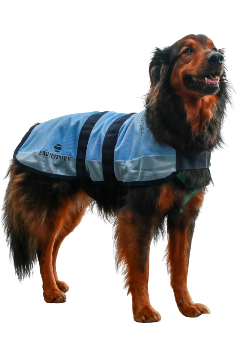 2025 Equilibrium Quick Chill Dog Coat 312 - Blue - Accessories - Pets ...