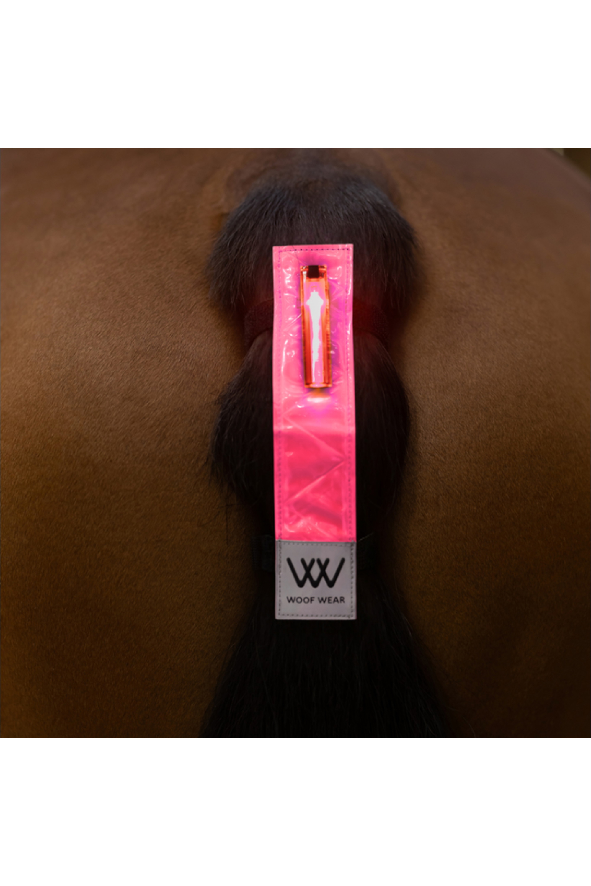 2025 Woof Wear LED Hi Vis Tail Light WS0051 - Hi Viz Pink - Horse ...