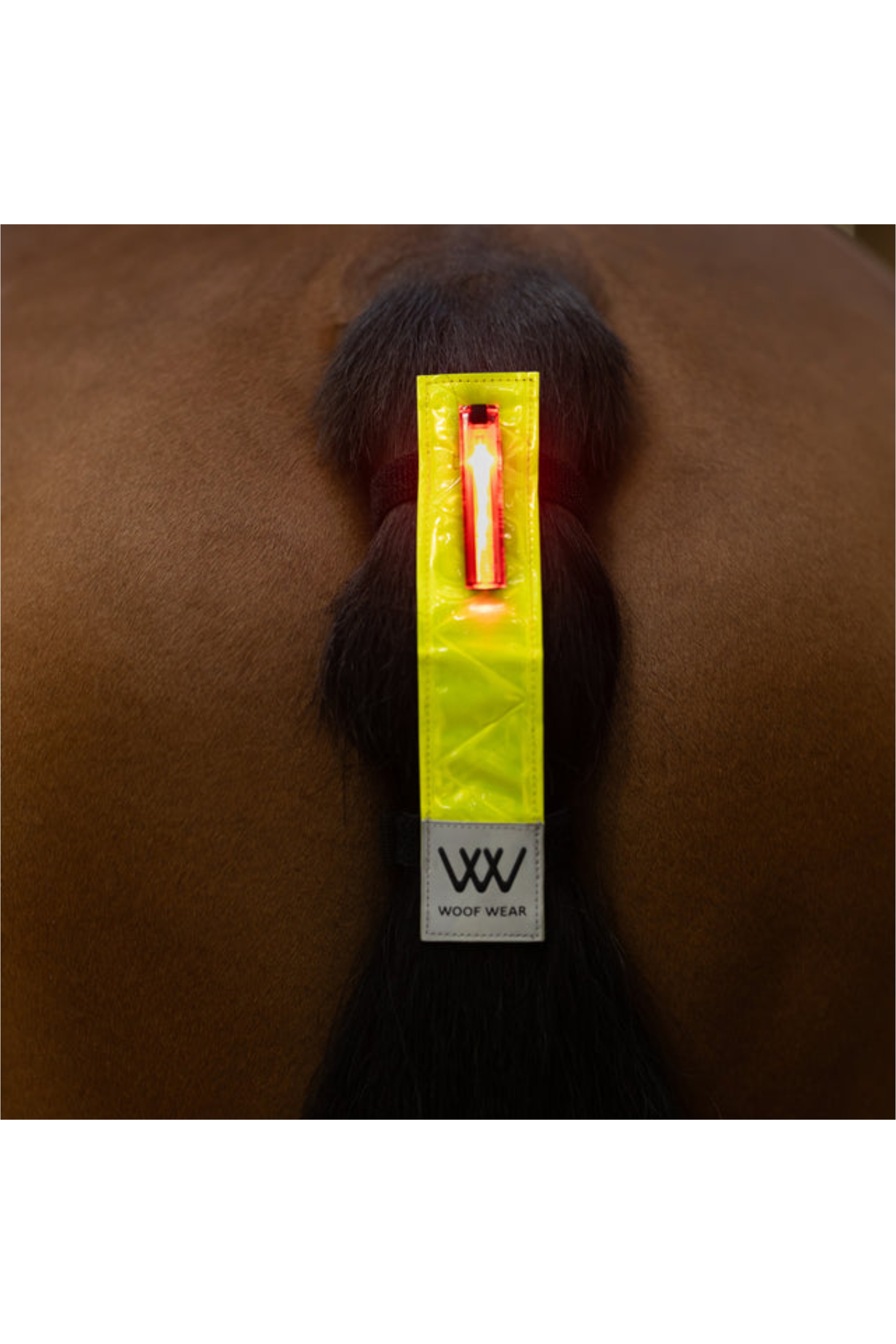 2025 Woof Wear LED Hi Vis Tail Light WS0051 - Hi Viz Yellow - Horse ...