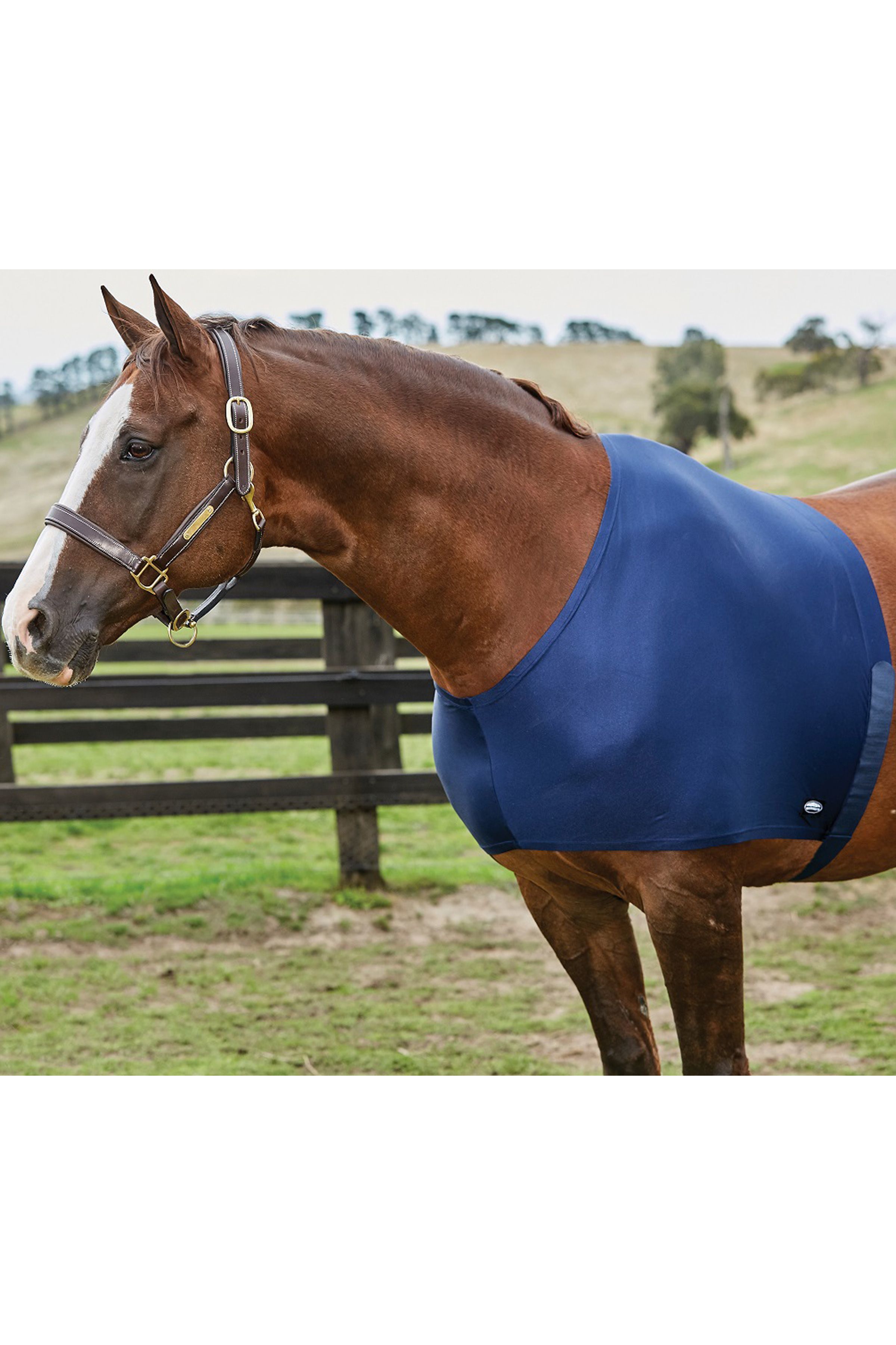 Weatherbeeta Stretch Shoulder Guard 589554 - Navy - Horse - Horse Rugs ...