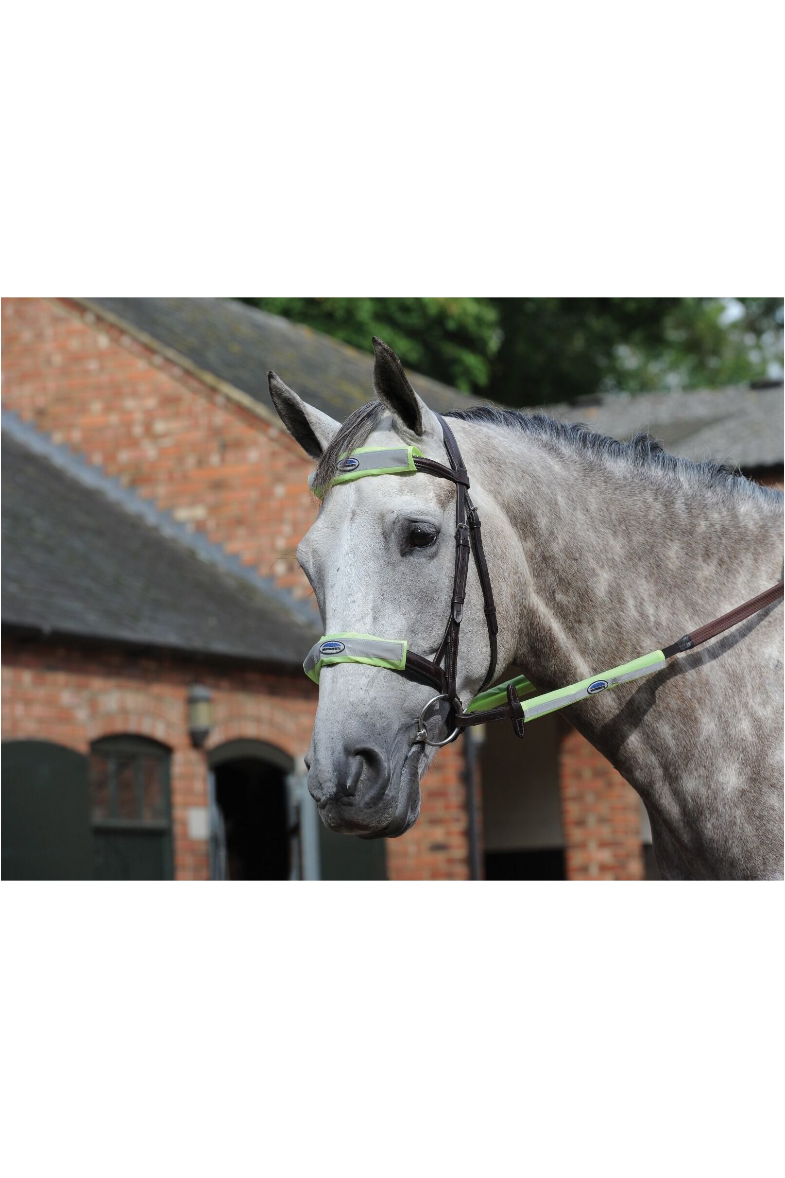 Weatherbeeta Reflective Bridle Kit 4 Piece Yellow 1006587 - Horse ...