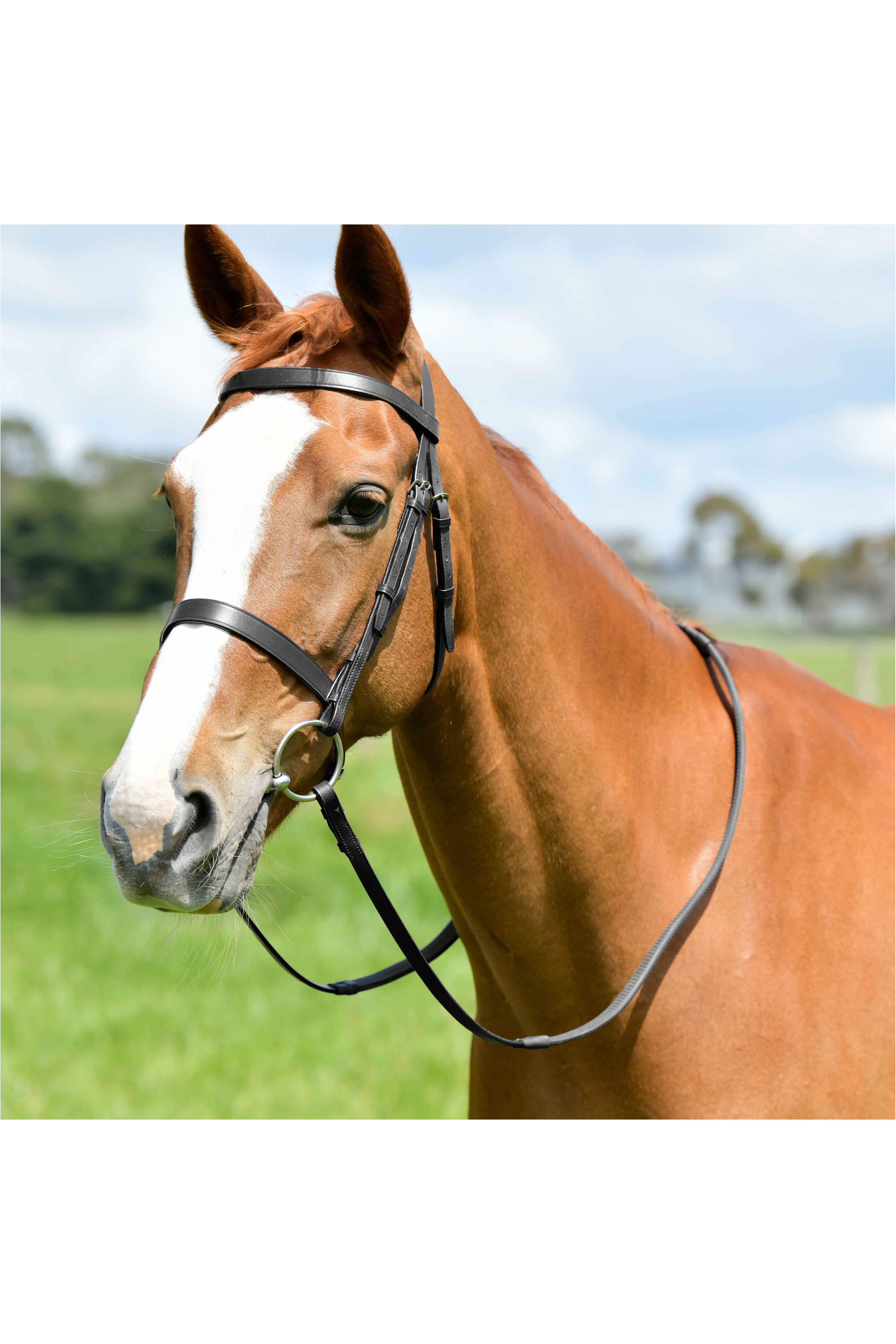 2024 Kincade Classic Flat Hunt Bridle With Reins 10252030 - Black ...