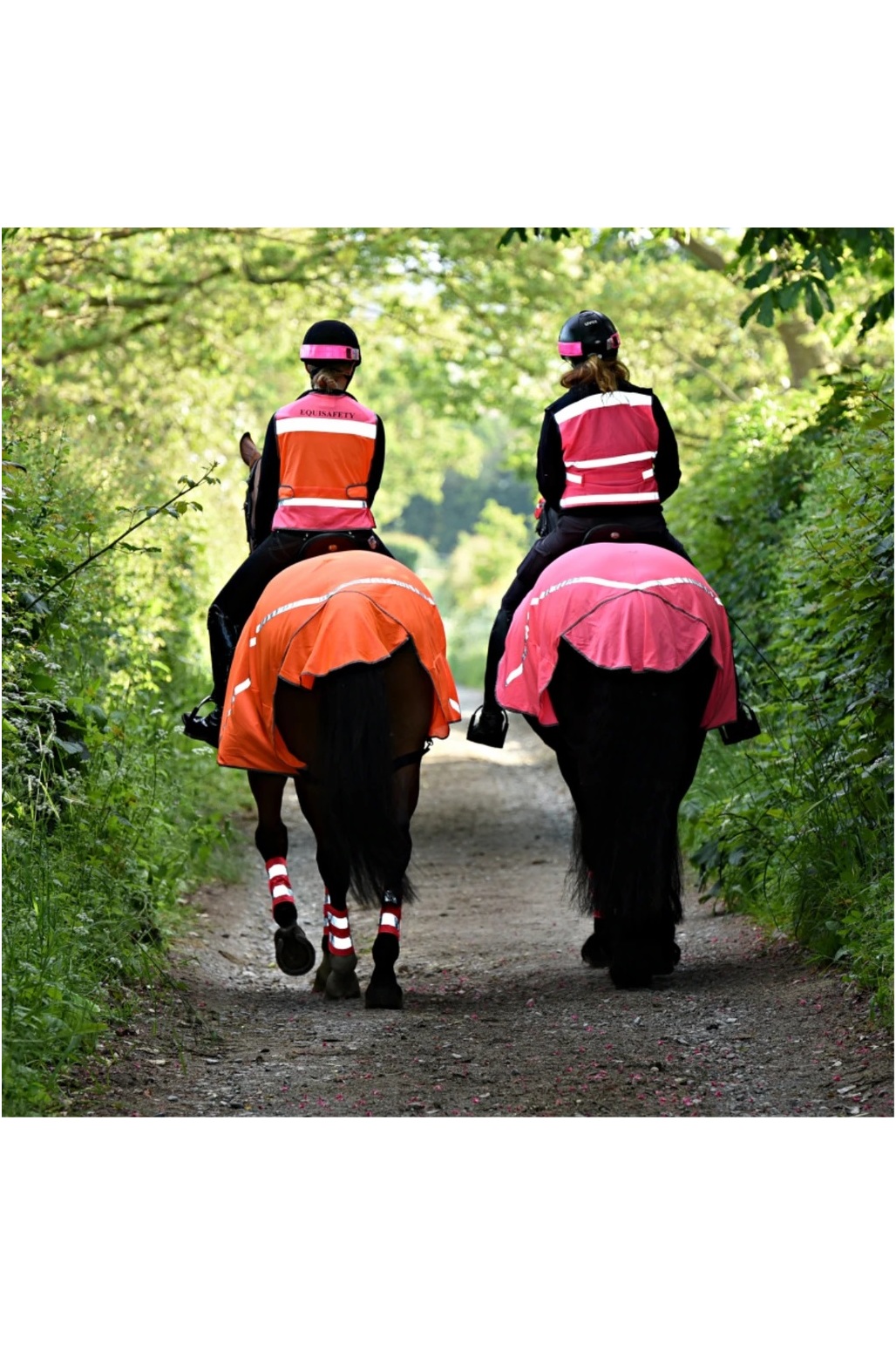 Equisafety Charlotte Dujardin Mesh Quarter Rug C-P-MESH - Pink - Horse ...