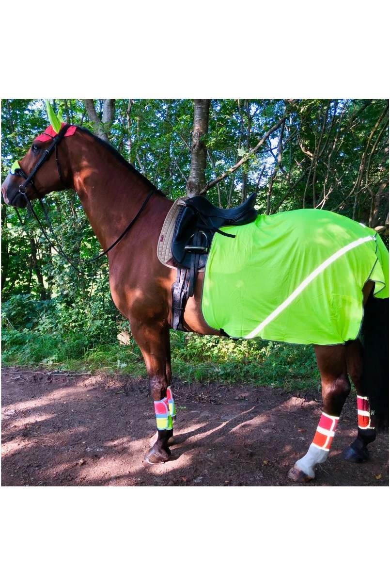 Equisafety Charlotte Dujardin Mesh Quarter Rug C-Y-MESH - Yellow ...