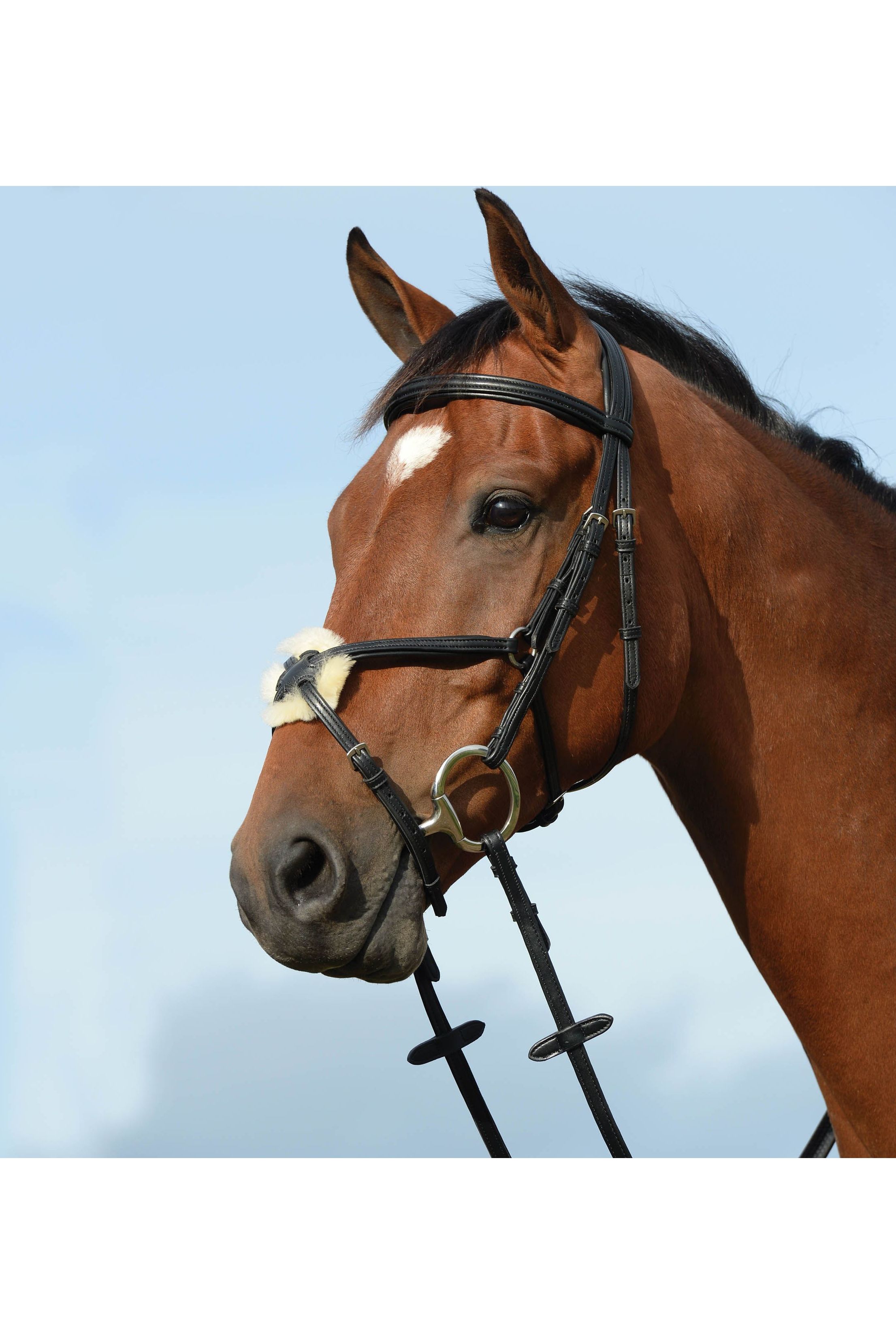 Collegiate Syntovia Padded Raised Figure 8 Bridle 10031020 - Brown ...