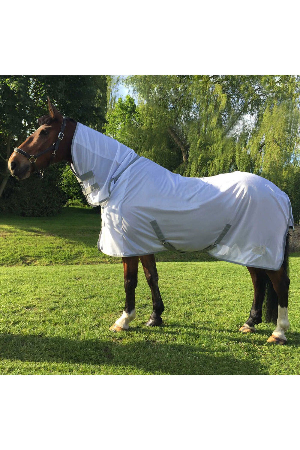 Masta SS18 TEX Basic Fly Rug White | Horse Rugs | The Drillshed