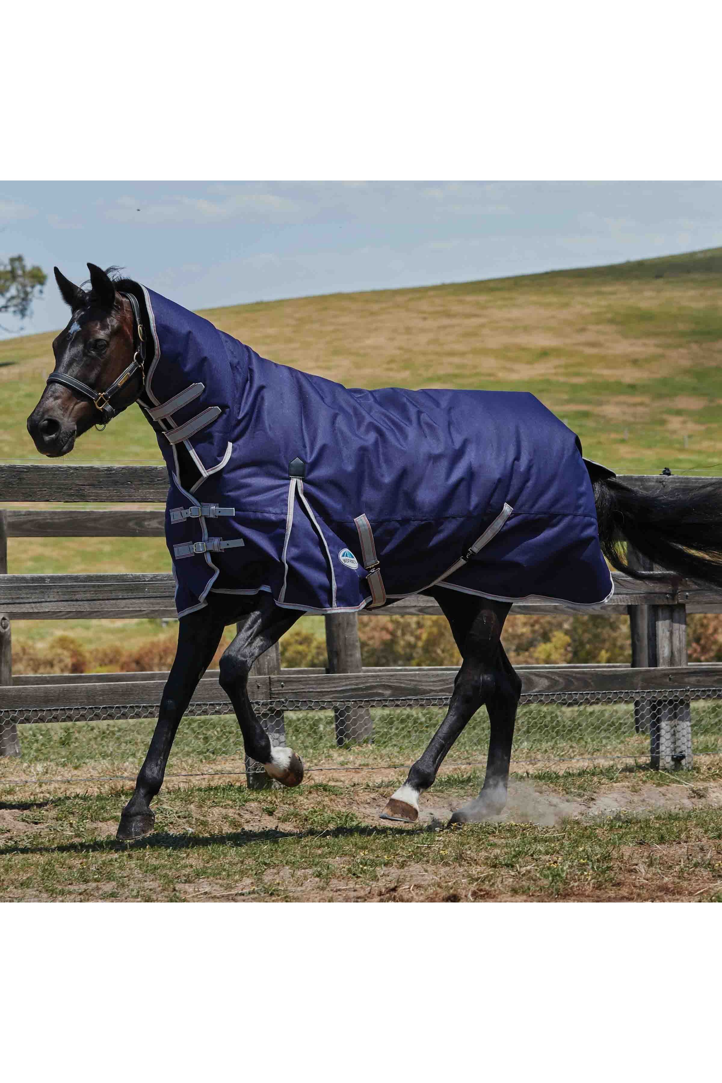 Weatherbeeta Comfitec Essentiell Medium Combo Nacken Teppich - Navy ...